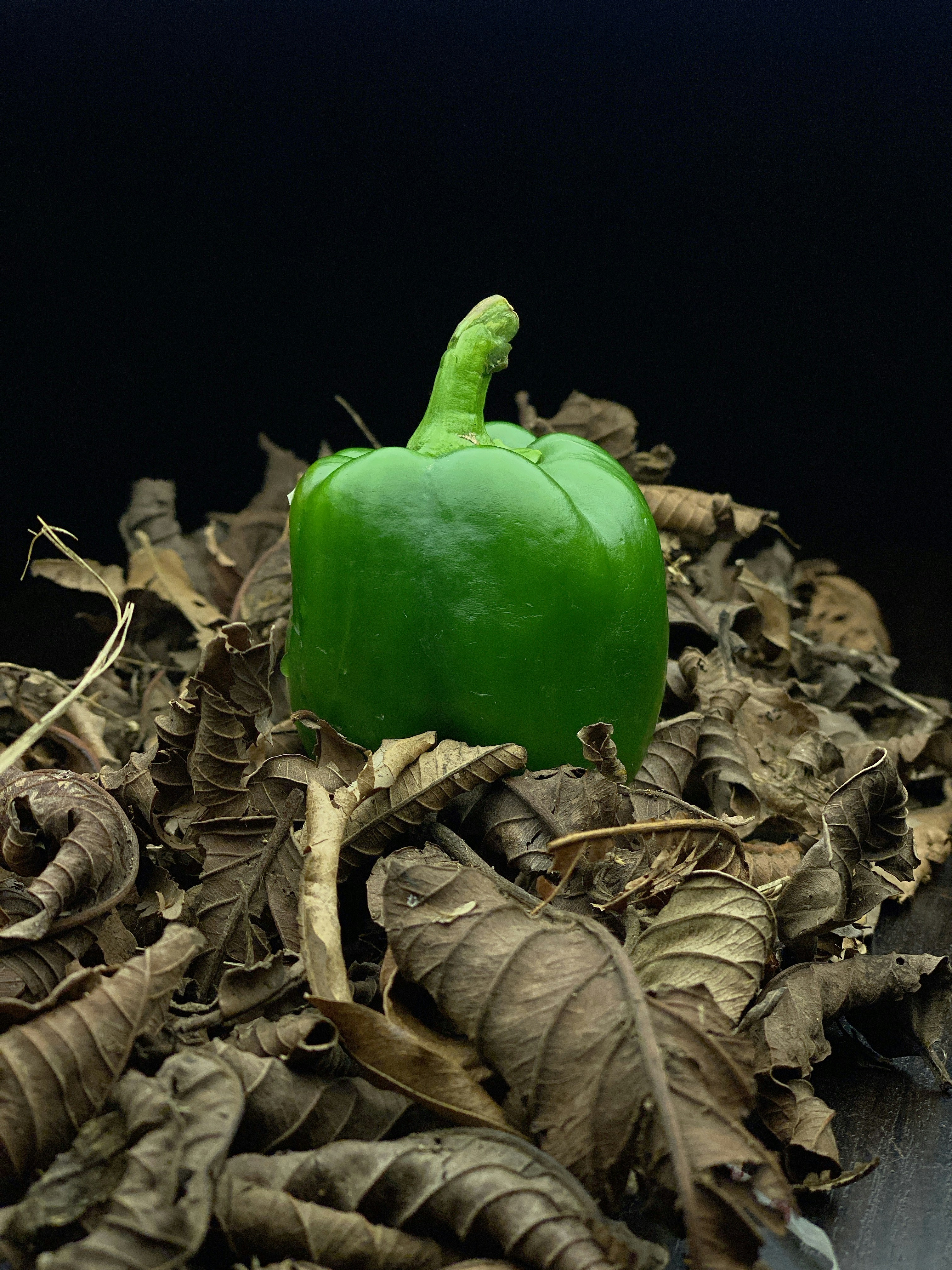A green pepper sitting on top of a pile of leaves photo – Free Pepper ...