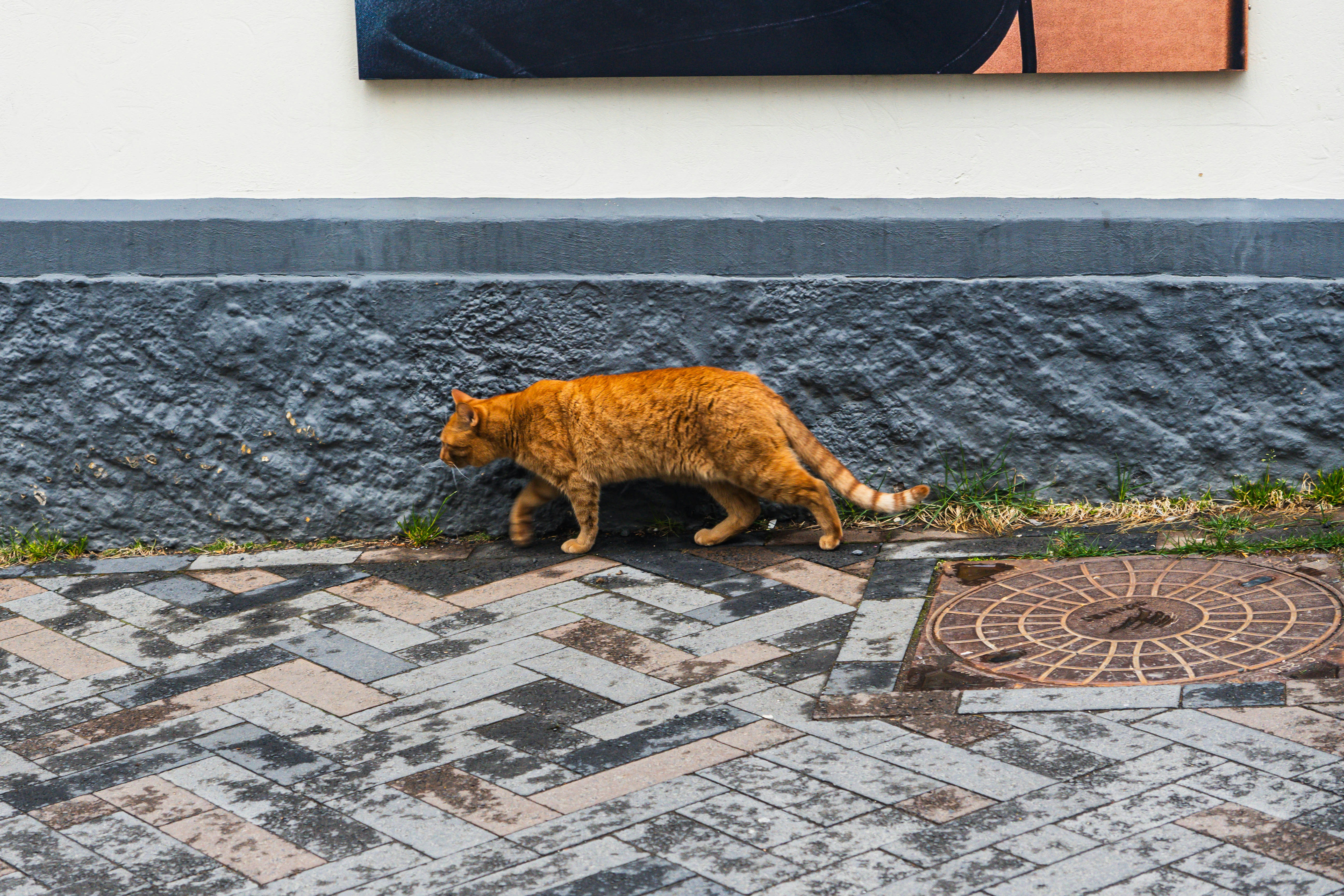 Photo by Juliann Hervio with Sony Alpha 6400