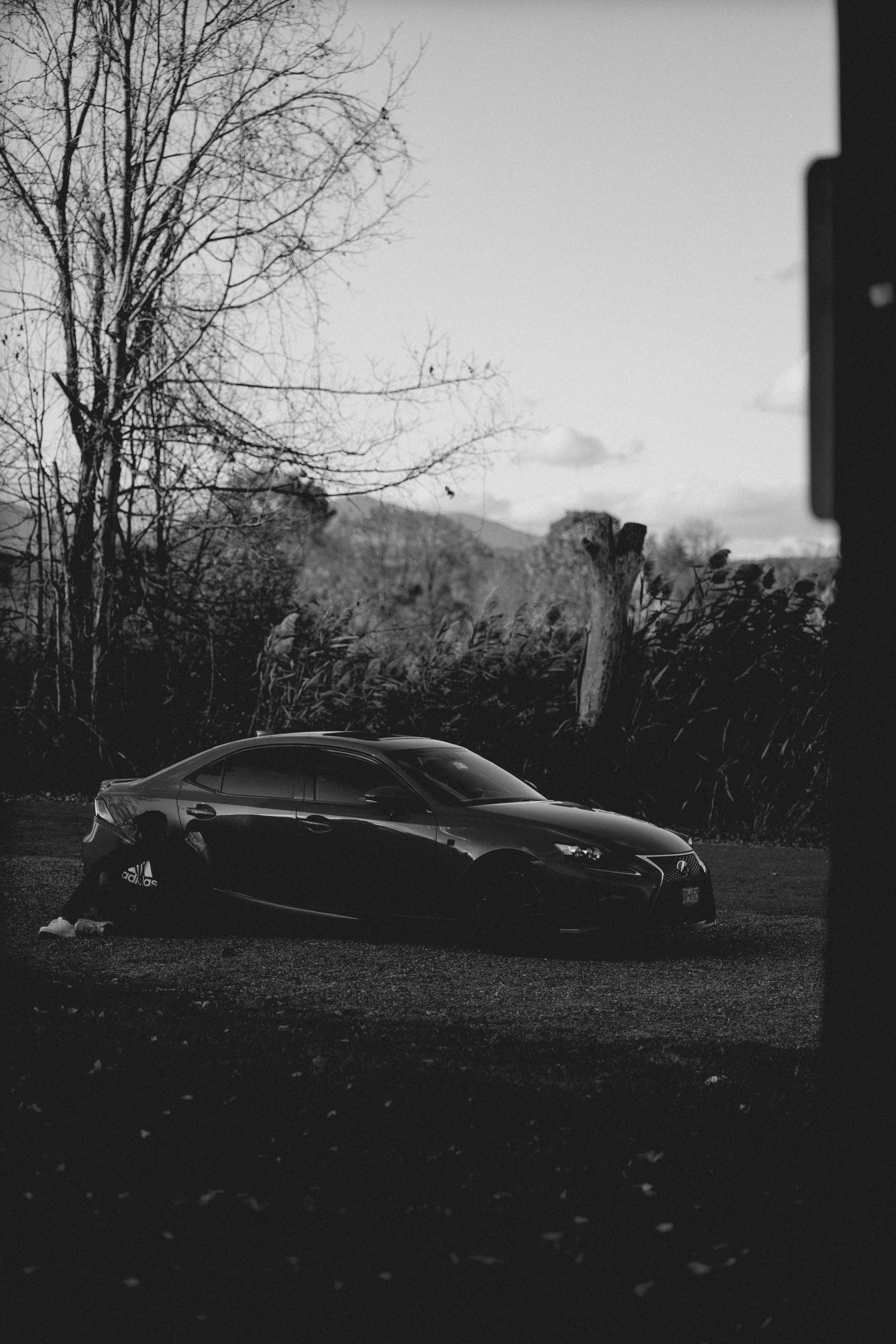 Noir Sedan by a Weathered Fence: A Quiet Field Portrait