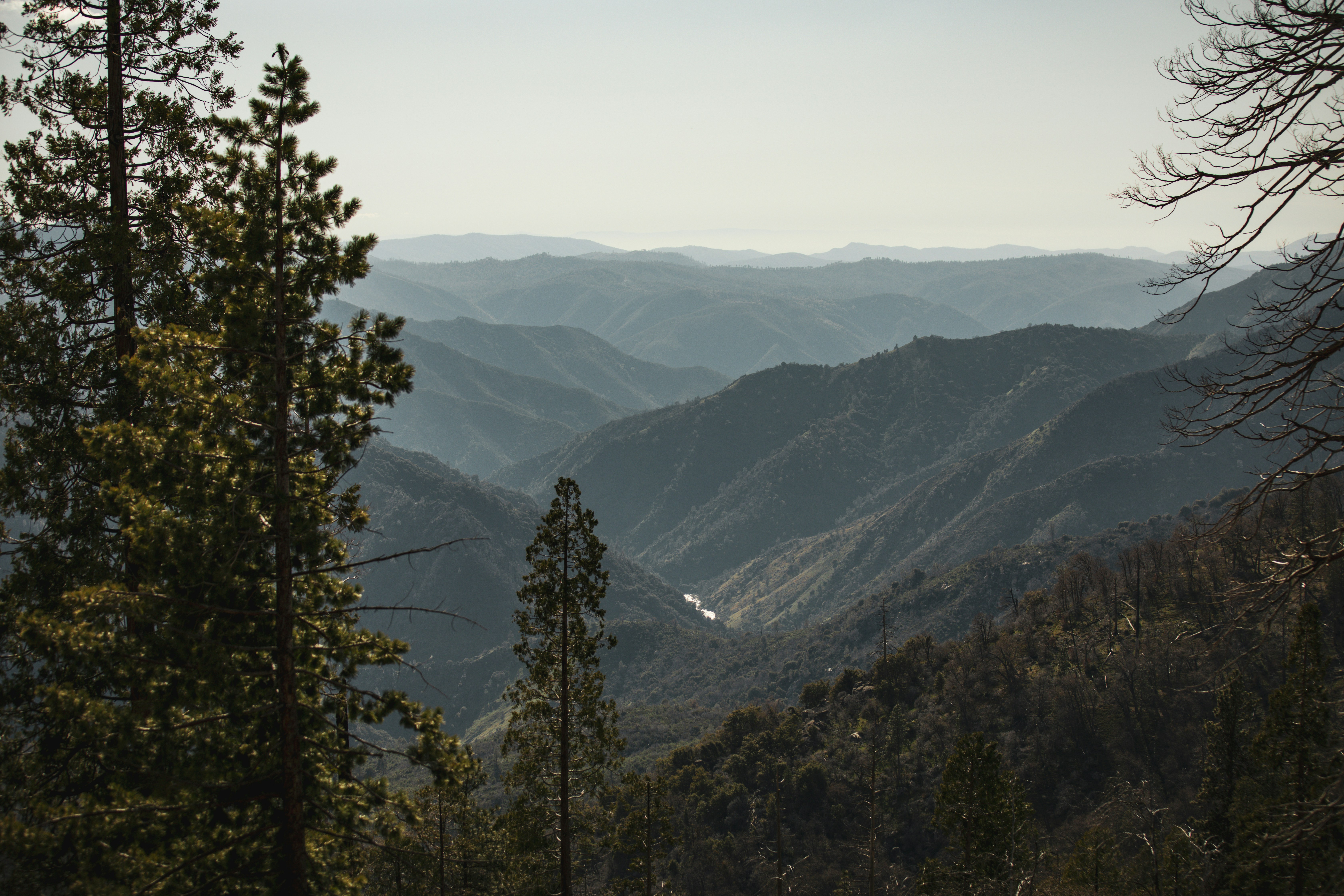A view of the mountains from a distance photo – Free Forest Image on ...