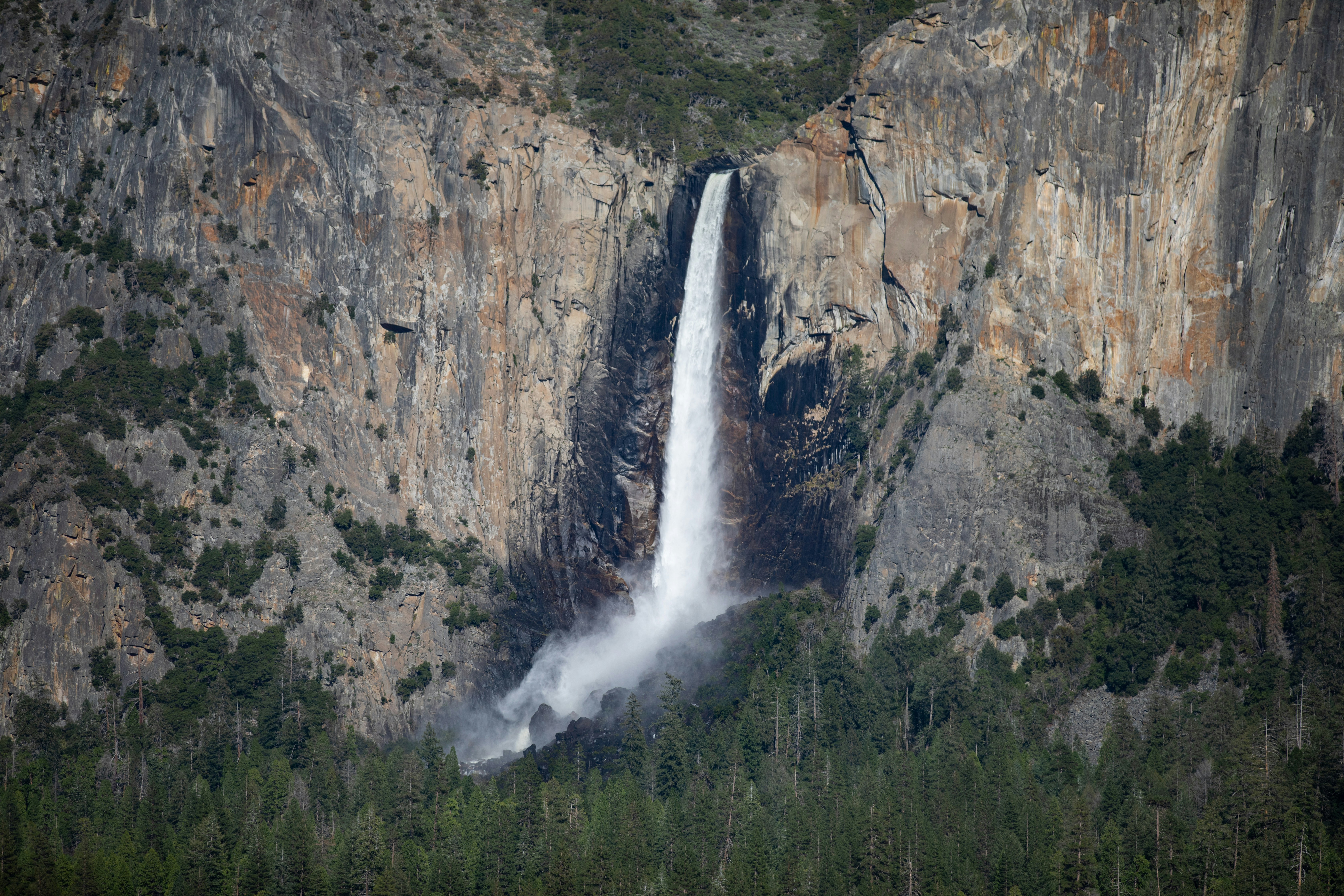 A very tall waterfall in the middle of a forest photo – Free Grey Image ...