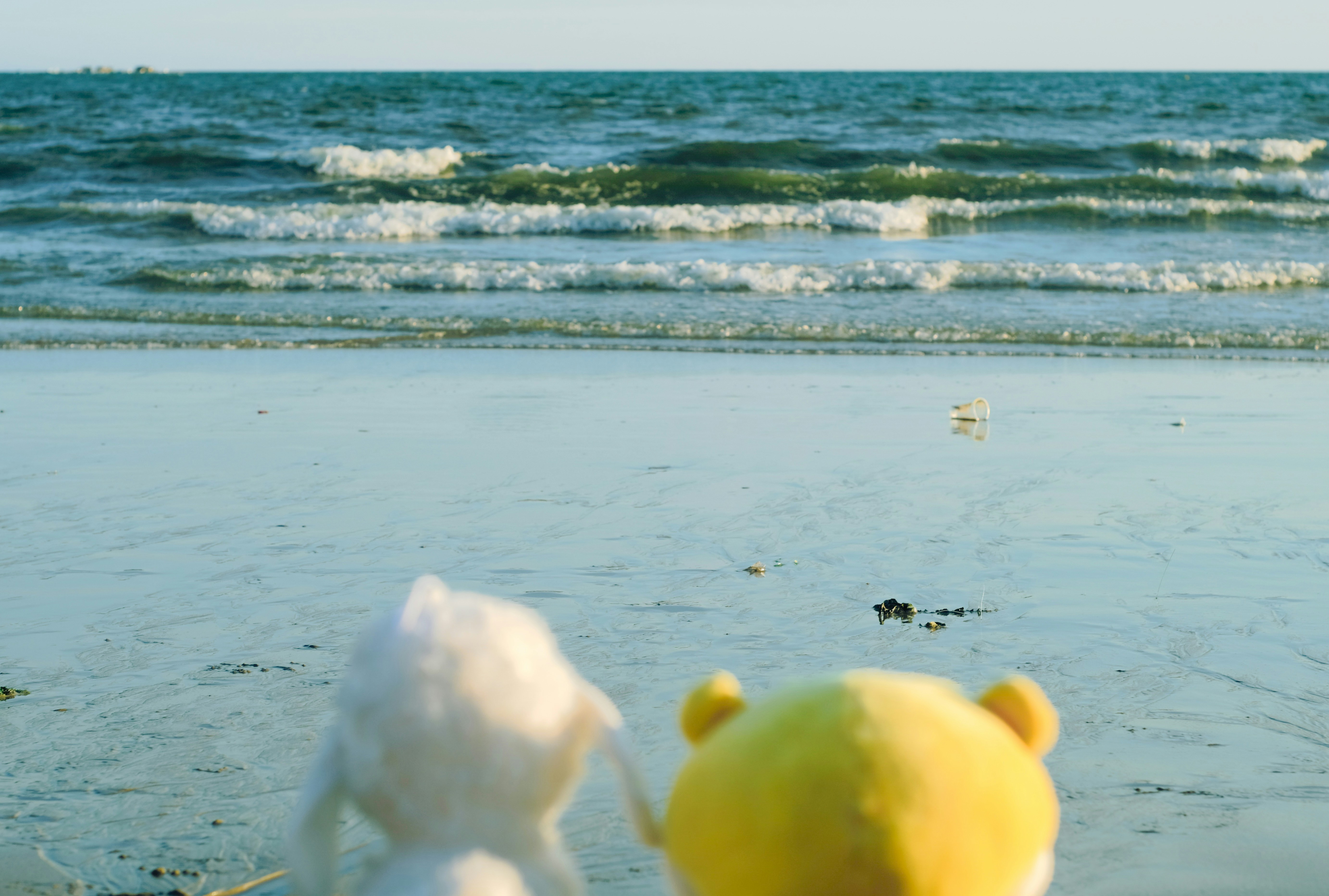 Plush Companions at the Shoreline