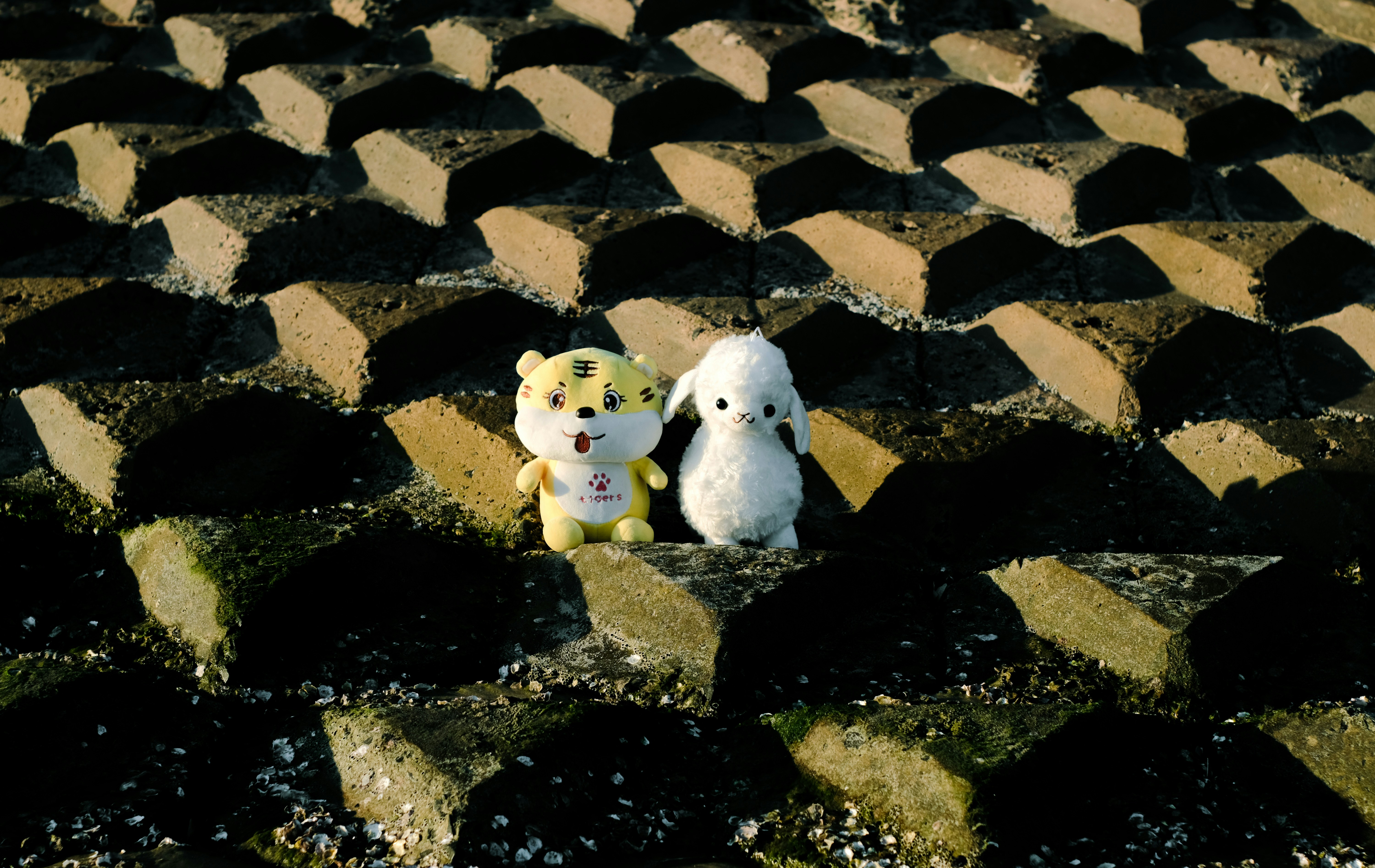 Two Plush Companions on a Sunlit Tessellated Terrace