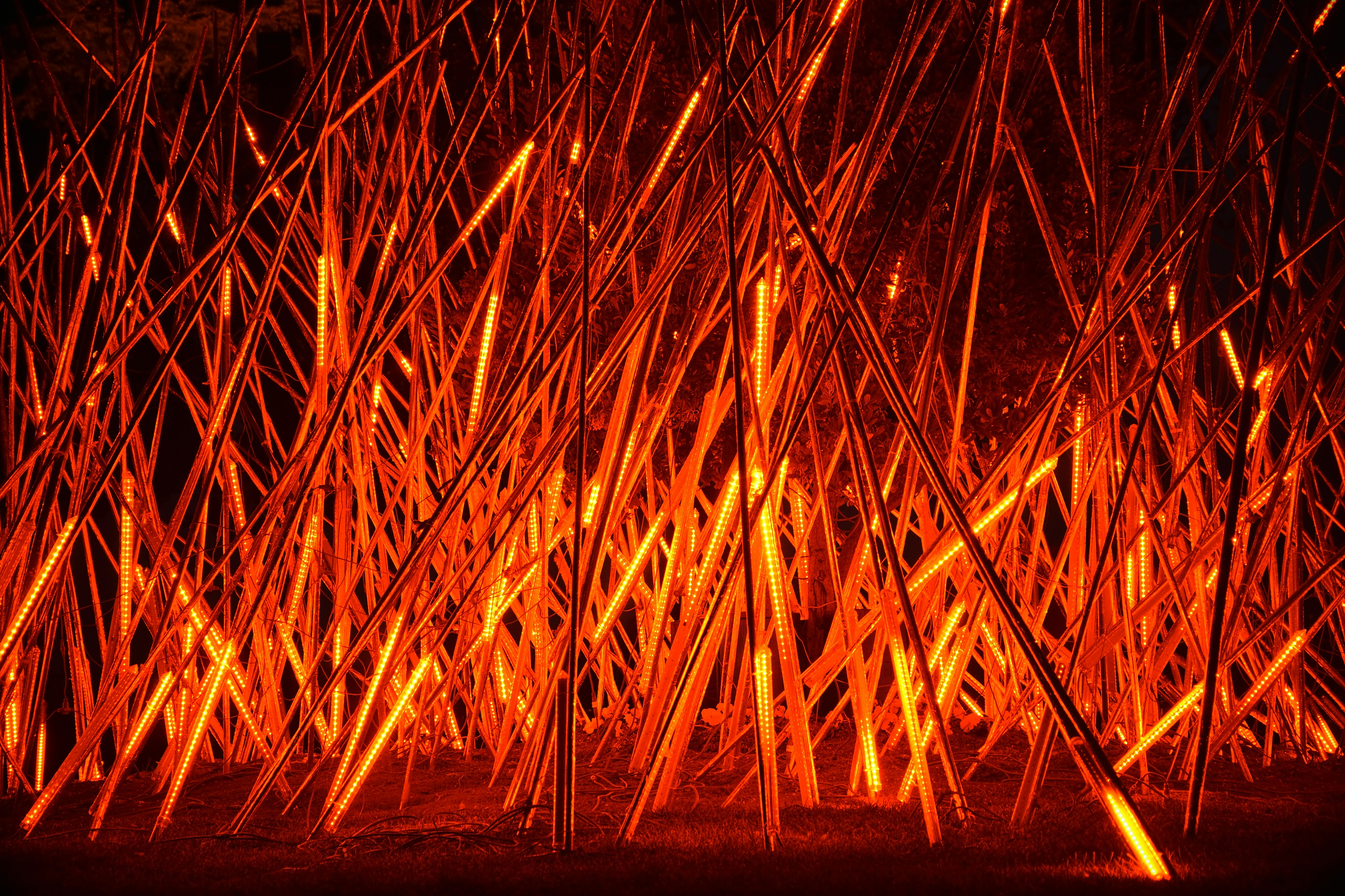 Crimson Lattice: Night-Rods Weaving a Heat-Hued Field