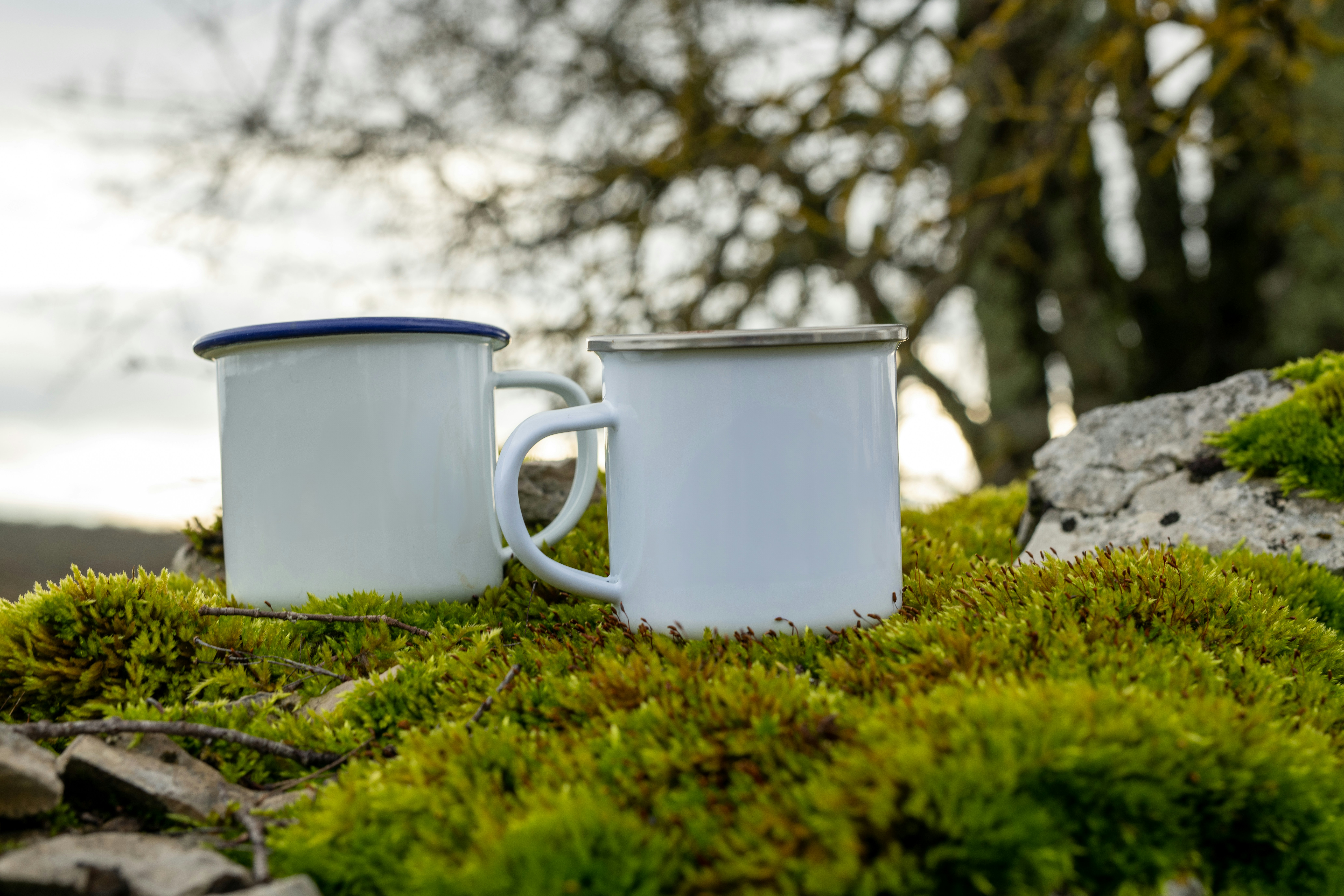 Photo by clement proust with Nikon D850