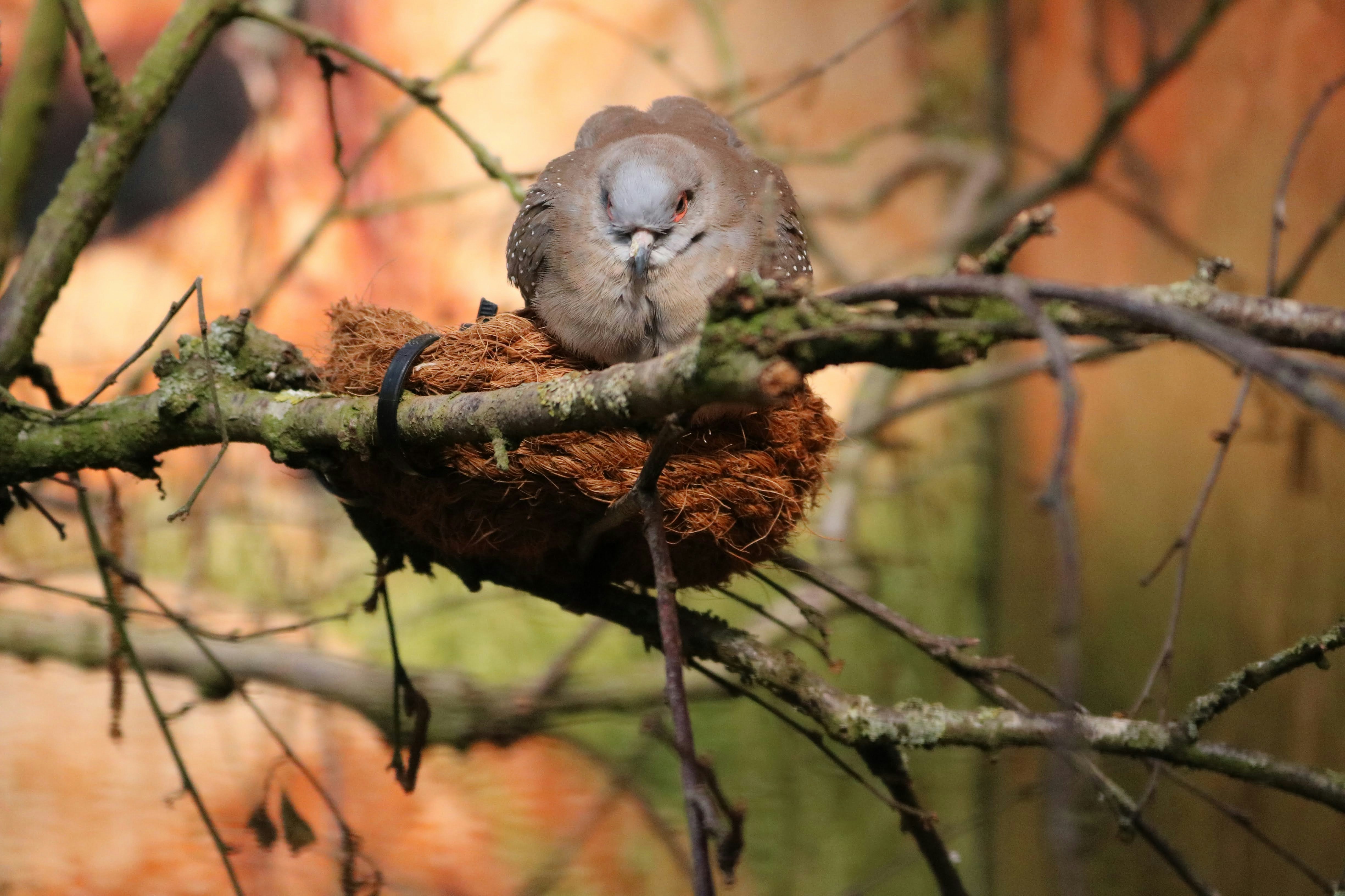 Photo by Shakeel Mohamed with Canon EOS 750D