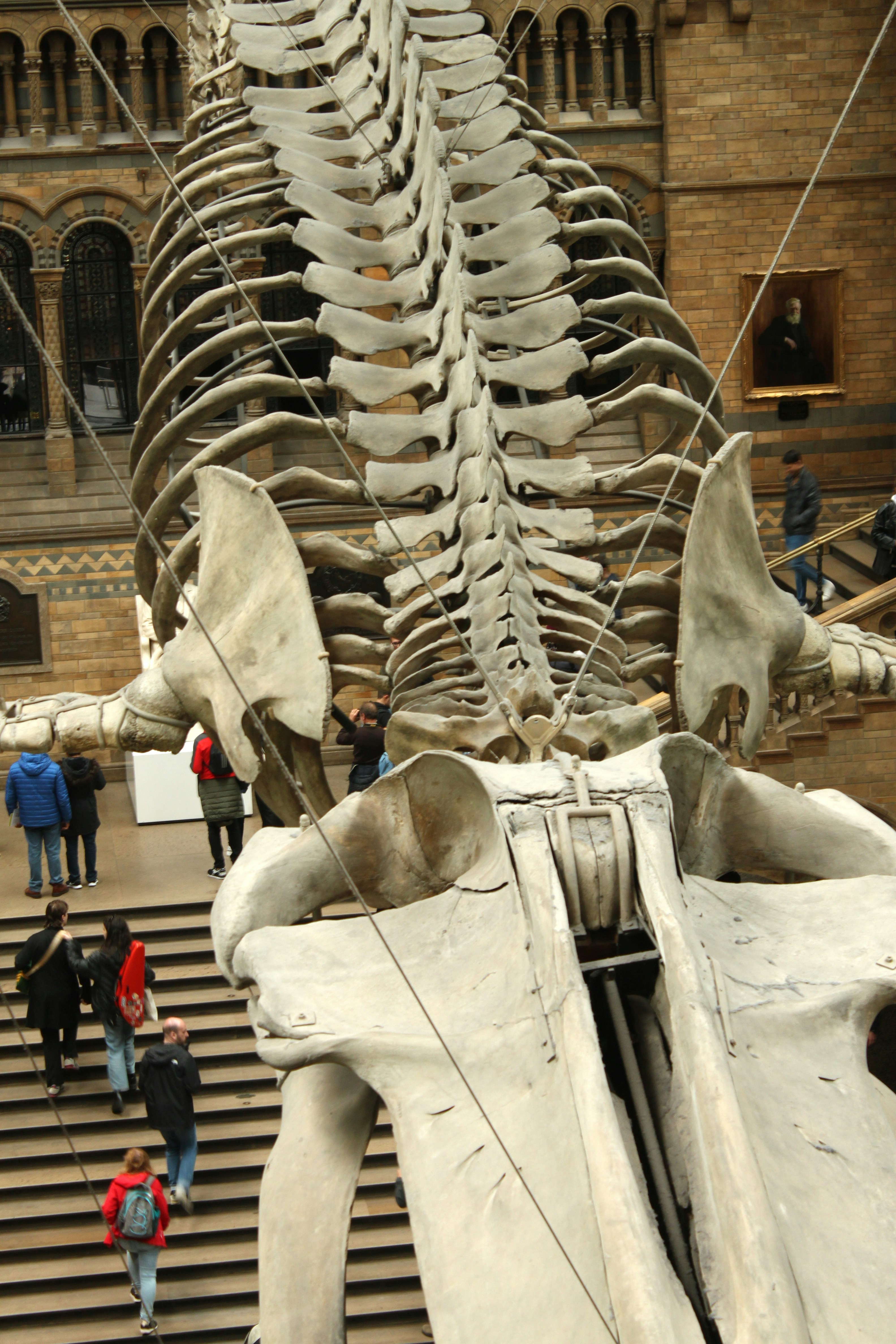 A group of people standing in front of a large skeleton photo – Free ...