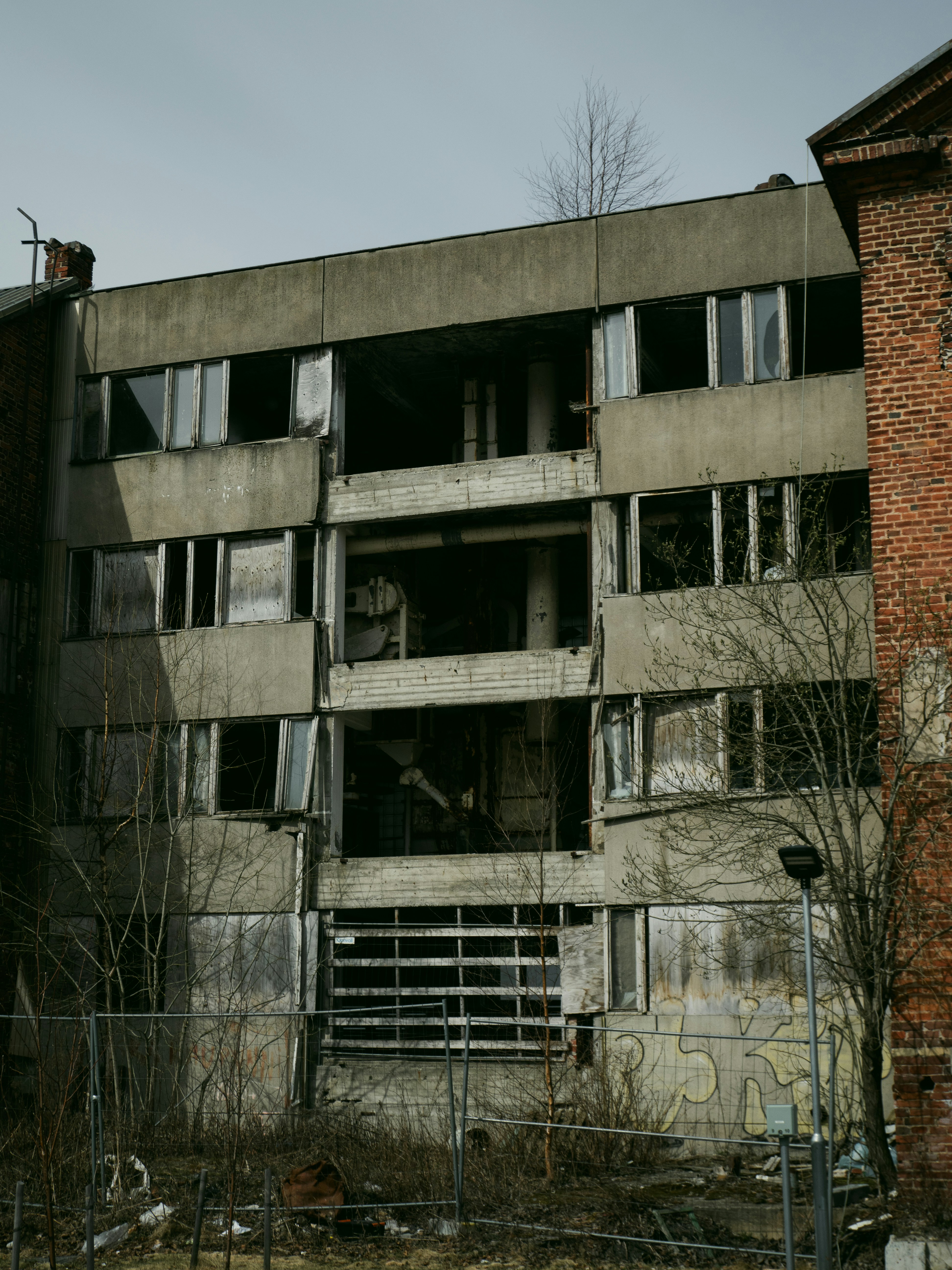 Photo by Aleksi Partanen with Olympus OM-D E-M1 Mark II