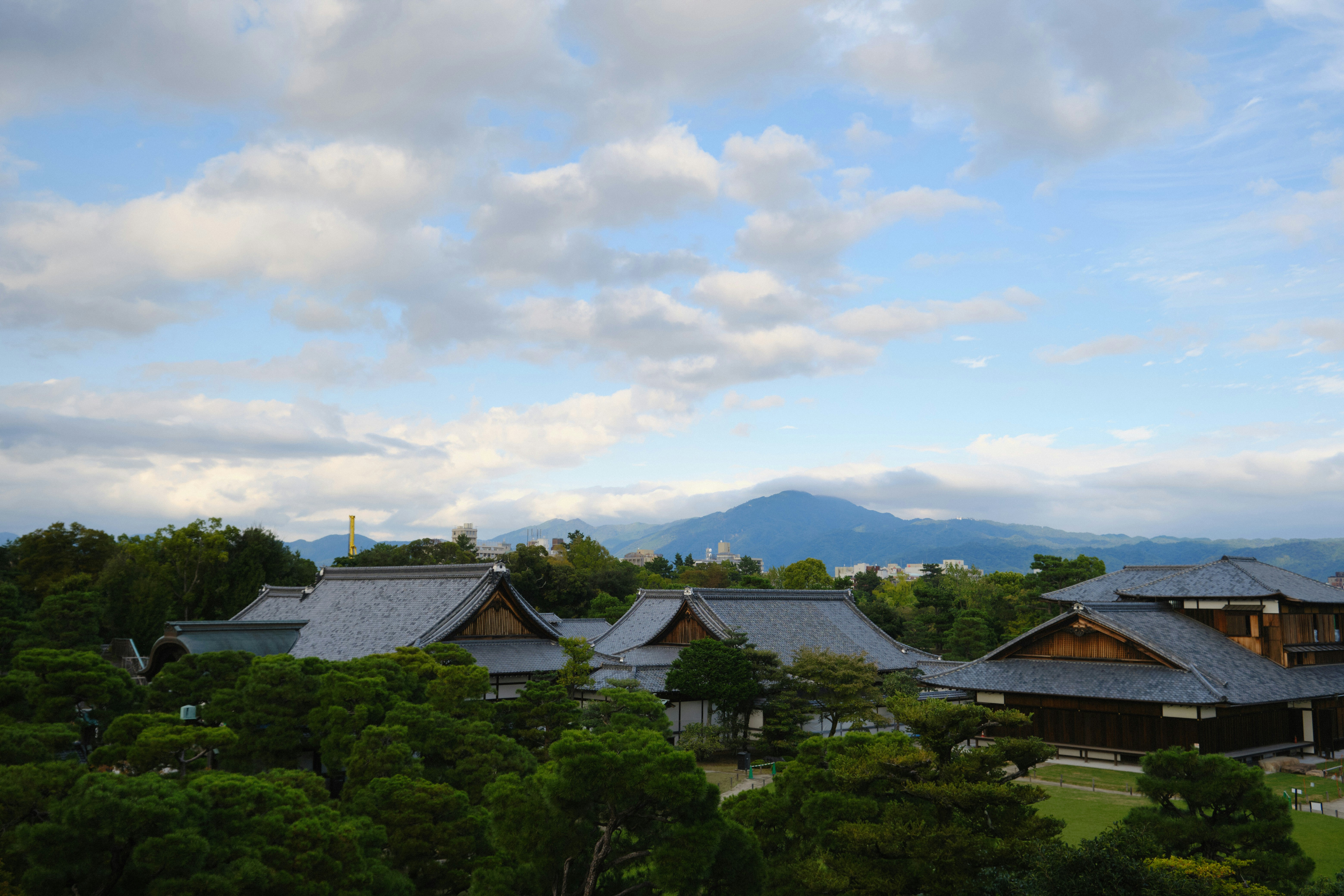 Roofline Reverie: Tranquil Temple Complex Framed by Pines and Distant Peaks