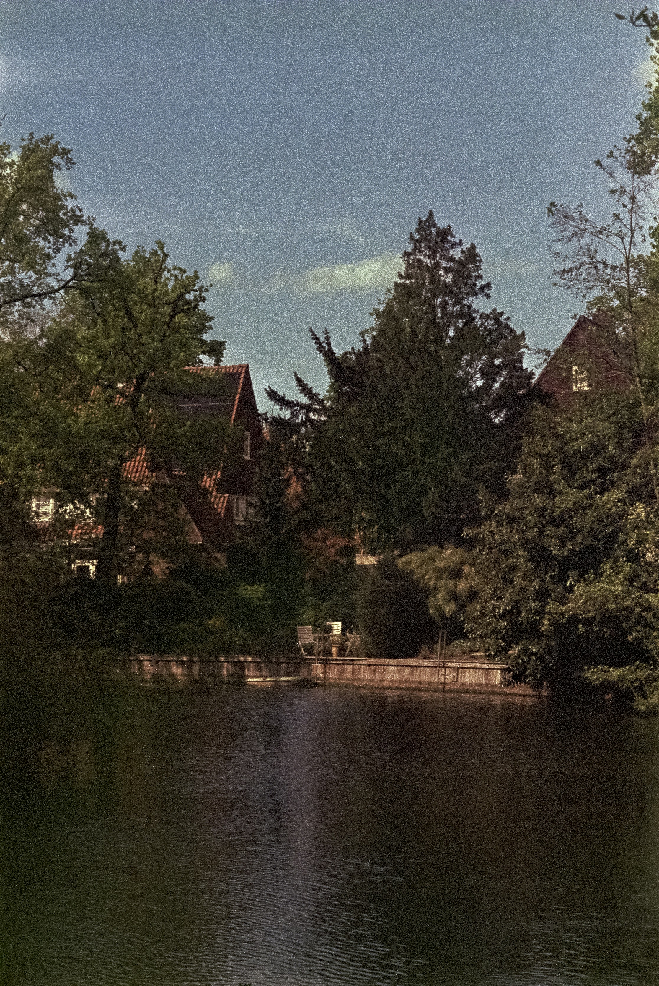 Lakeside Terrace Quietly Framed by Tree-Lined Homes