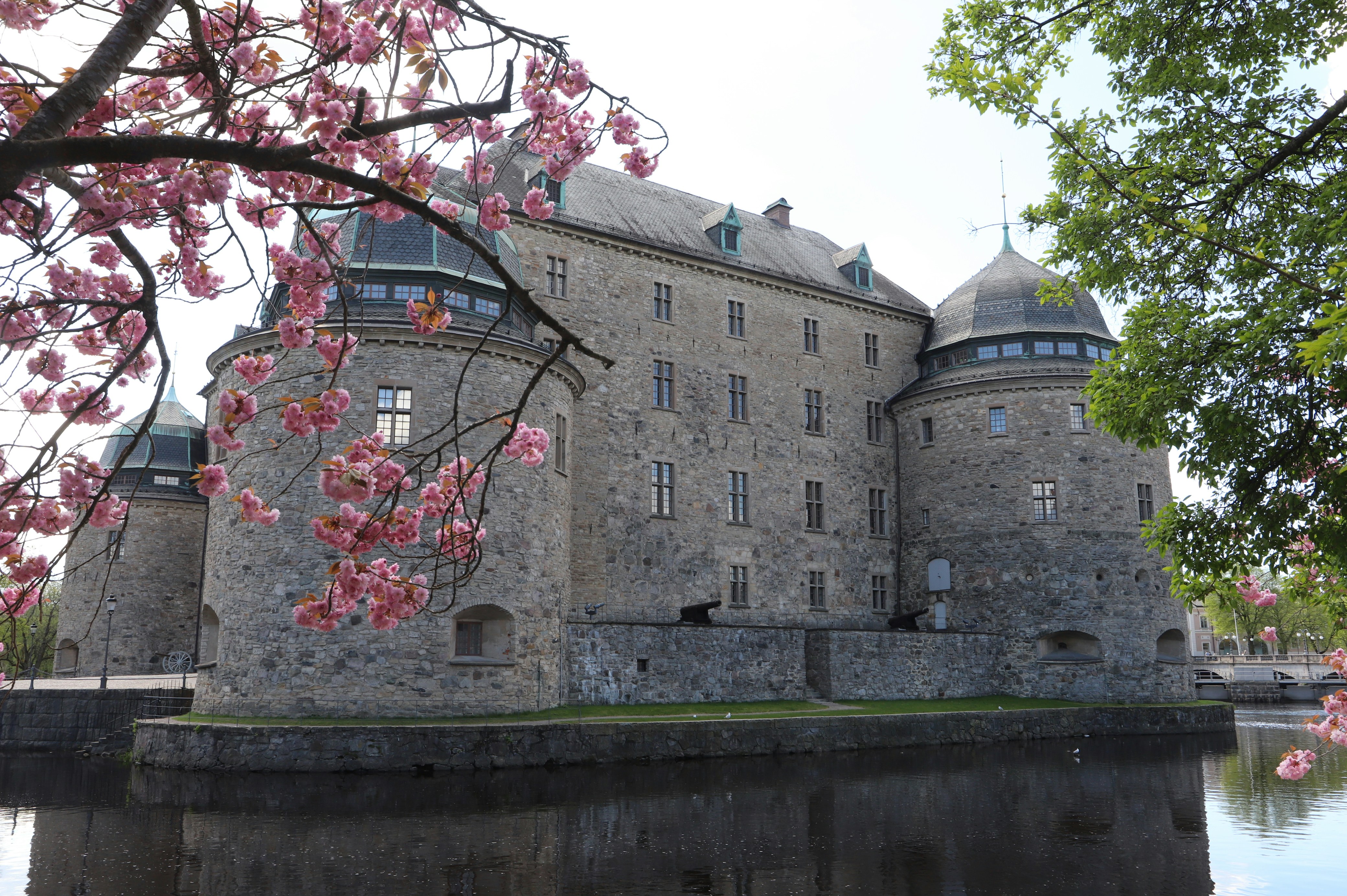 Riverside Keep: Stone Castle Framed by Spring Blossoms