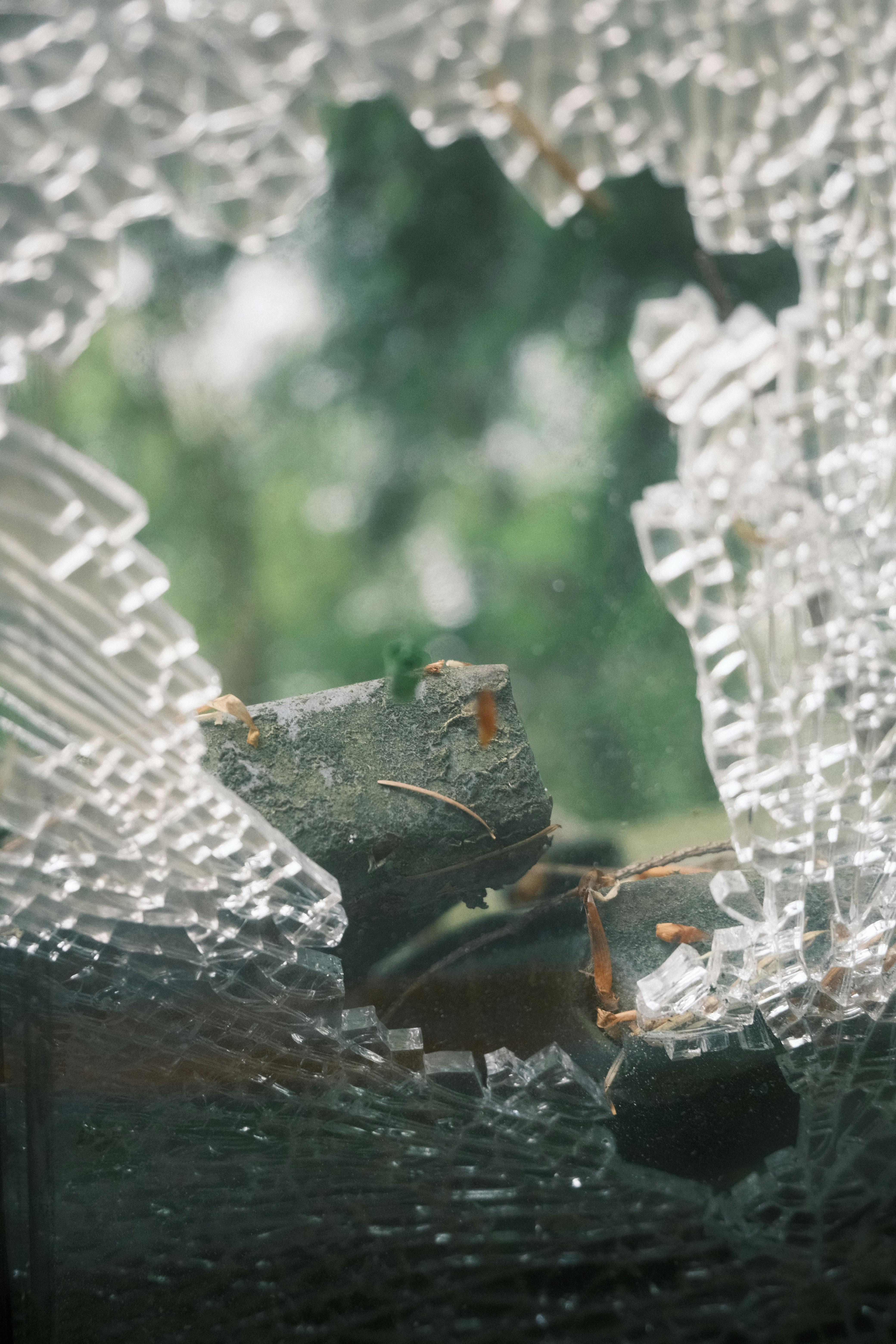Moss-Crowned Core Behind Fractured Glass