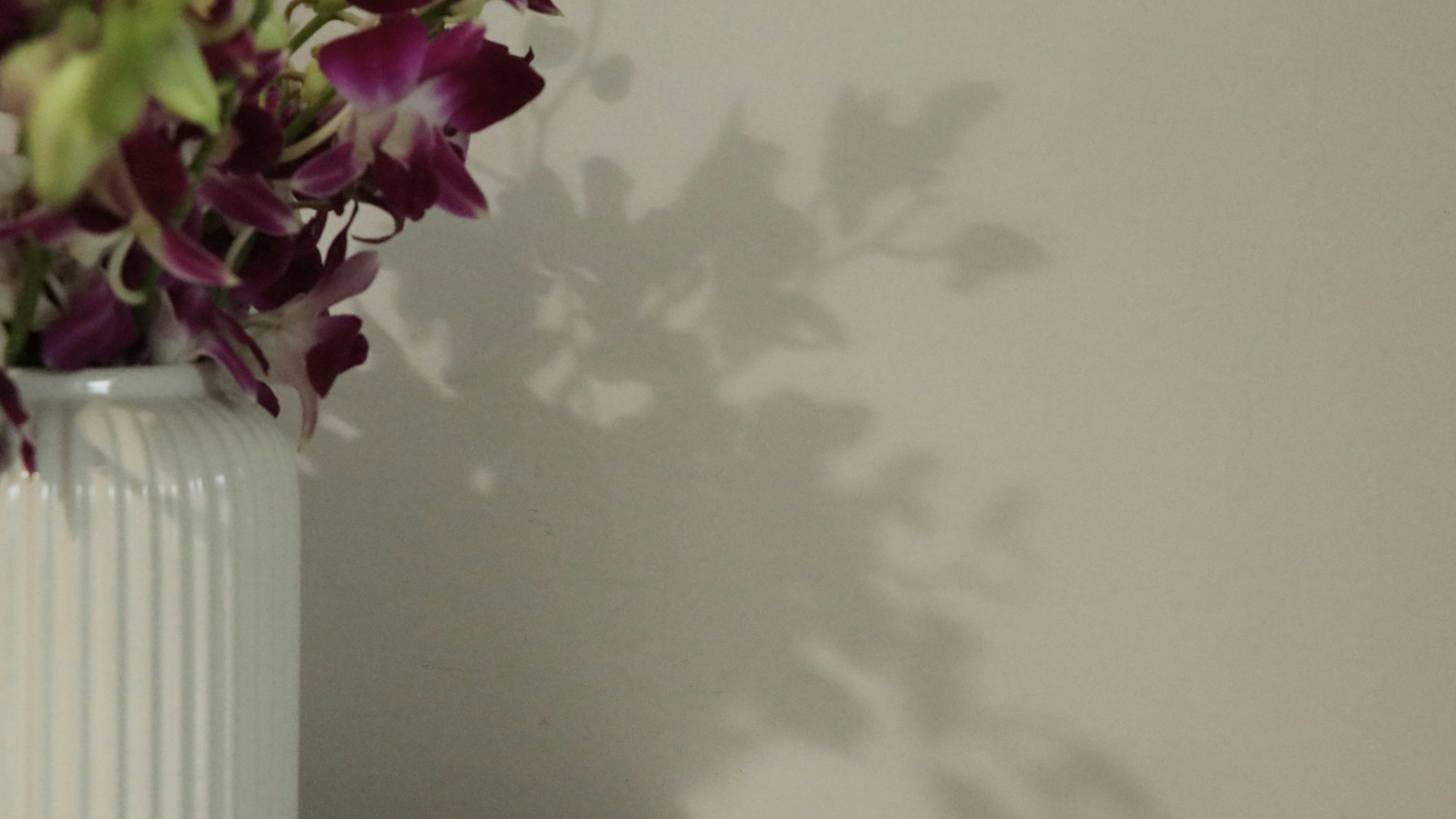 Photo by Chujun Liang with Canon EOS 80D