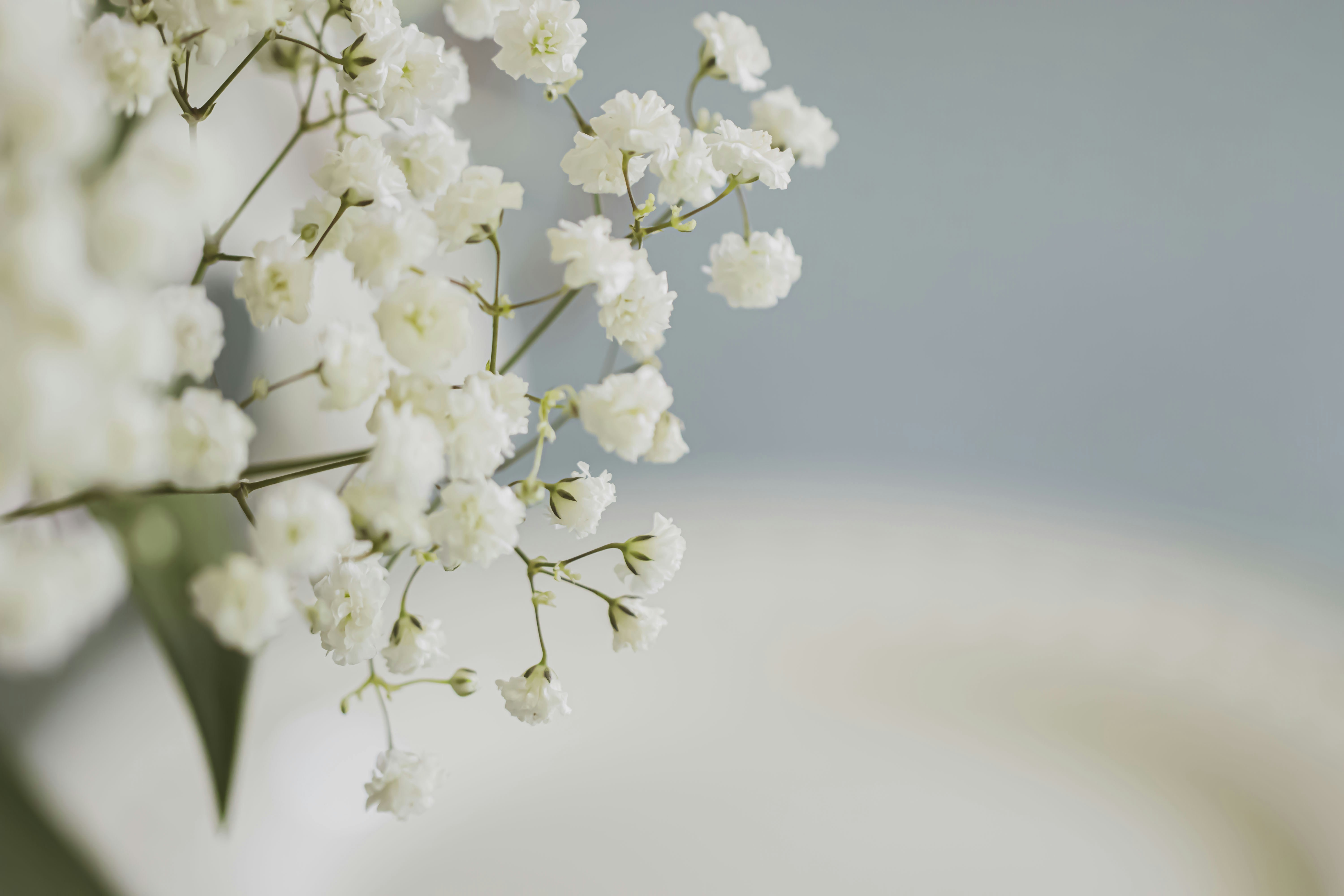 Photo by Antreina Stone with Canon EOS 80D