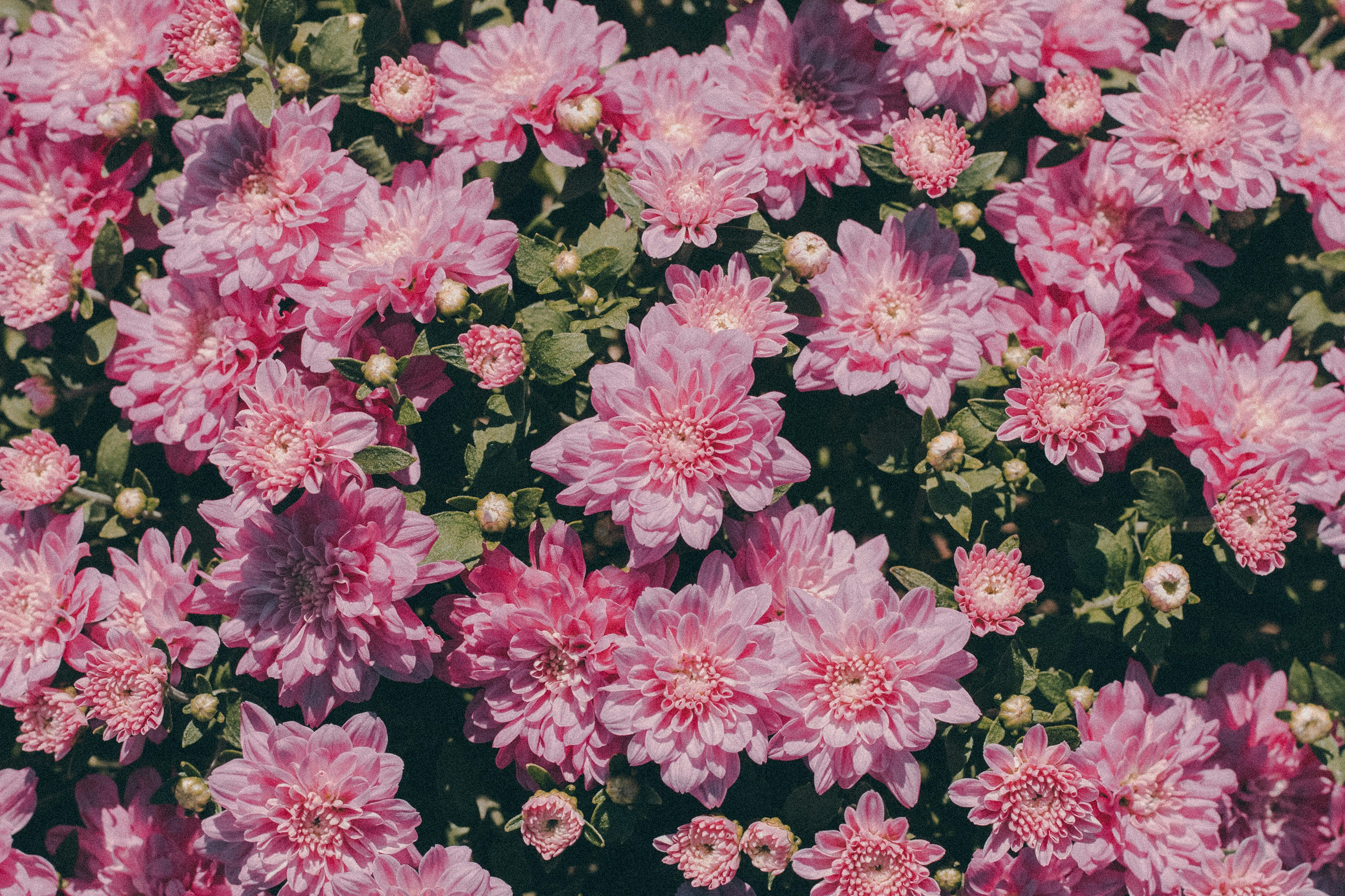 Jei Lee (@babybluecat) | Unsplash Photo Community