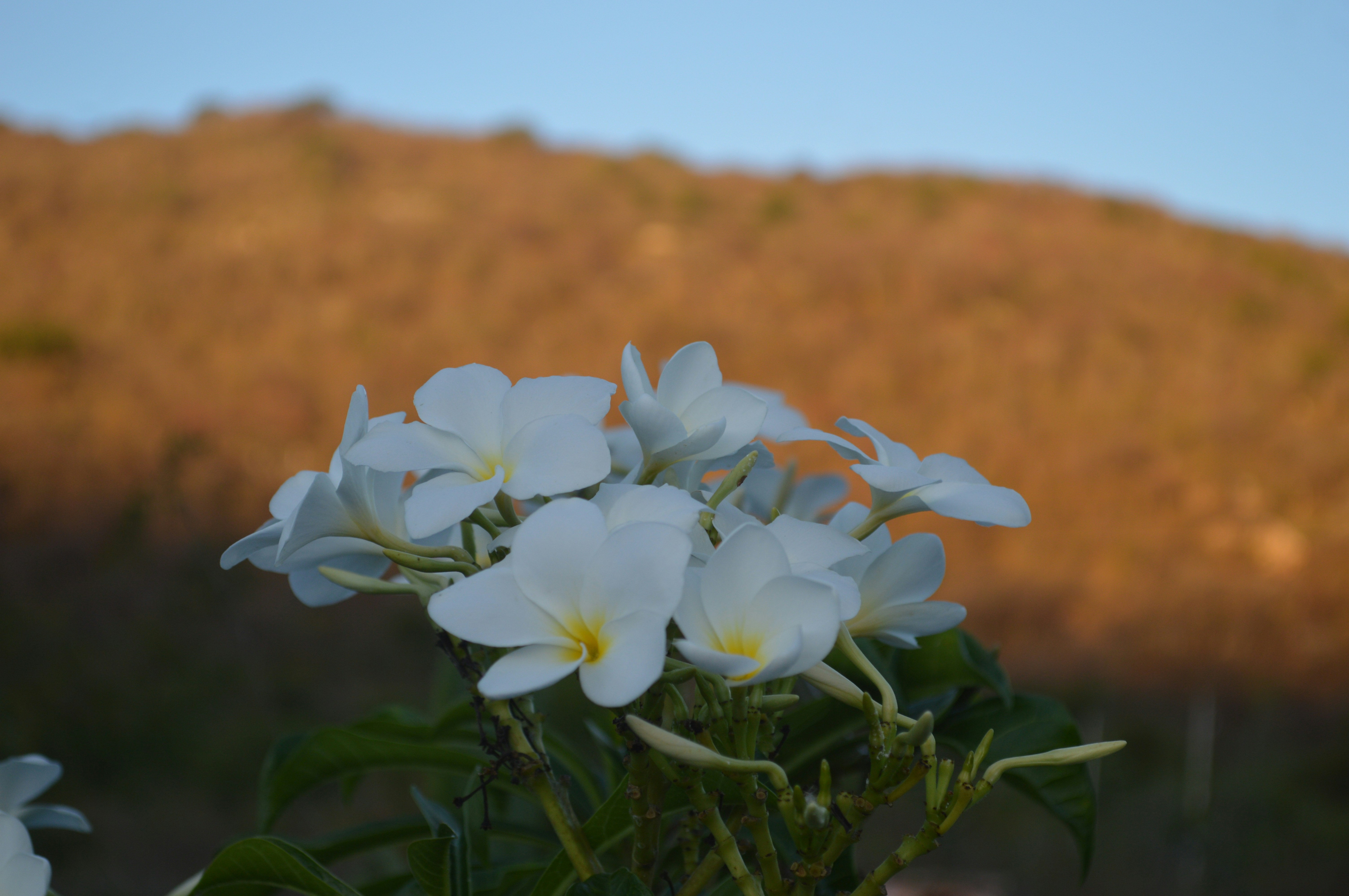 Photo by Alex Pessoa with Nikon D3200