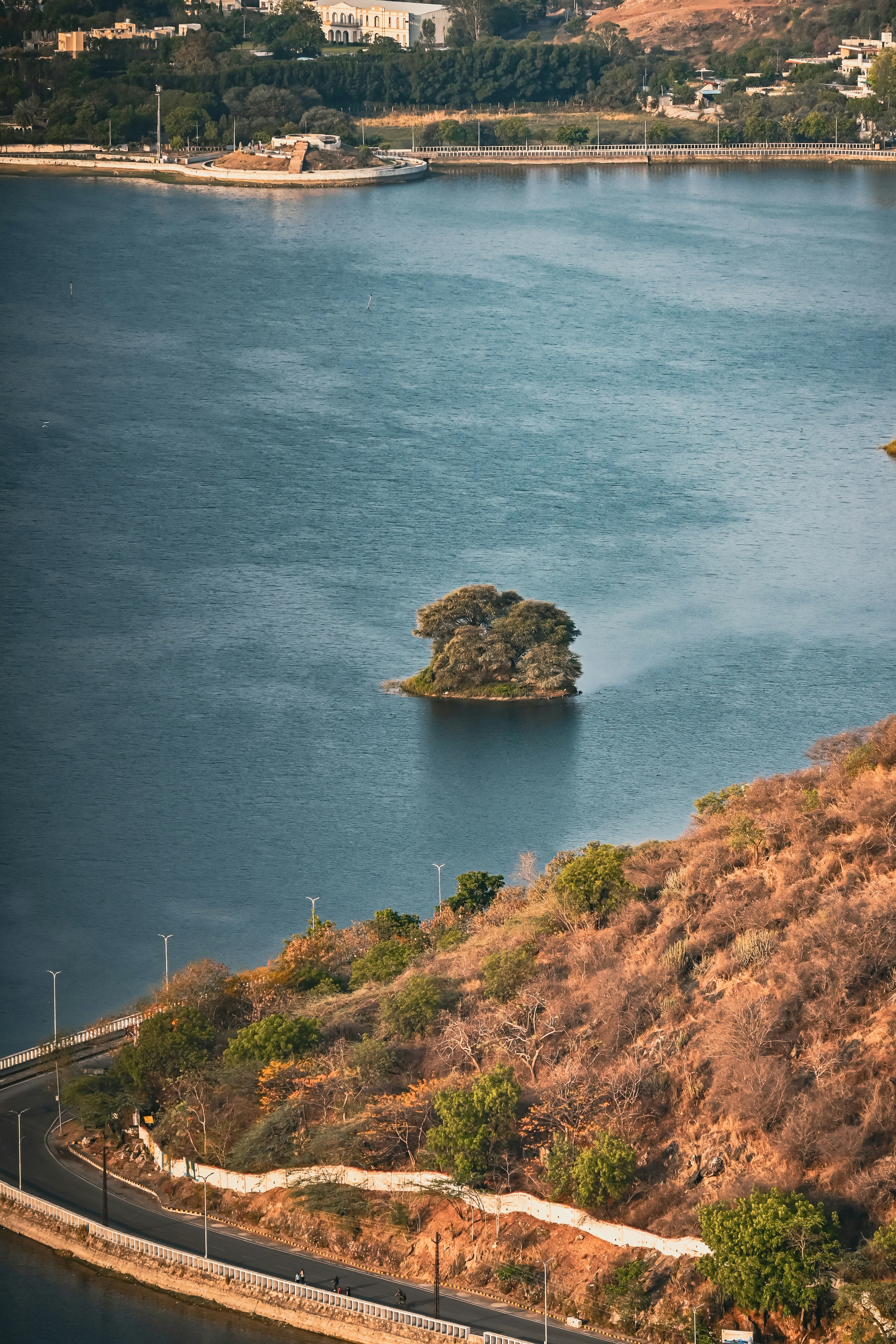 Islet of Trees: A Quiet Speck Anchored in a Harbor Blue