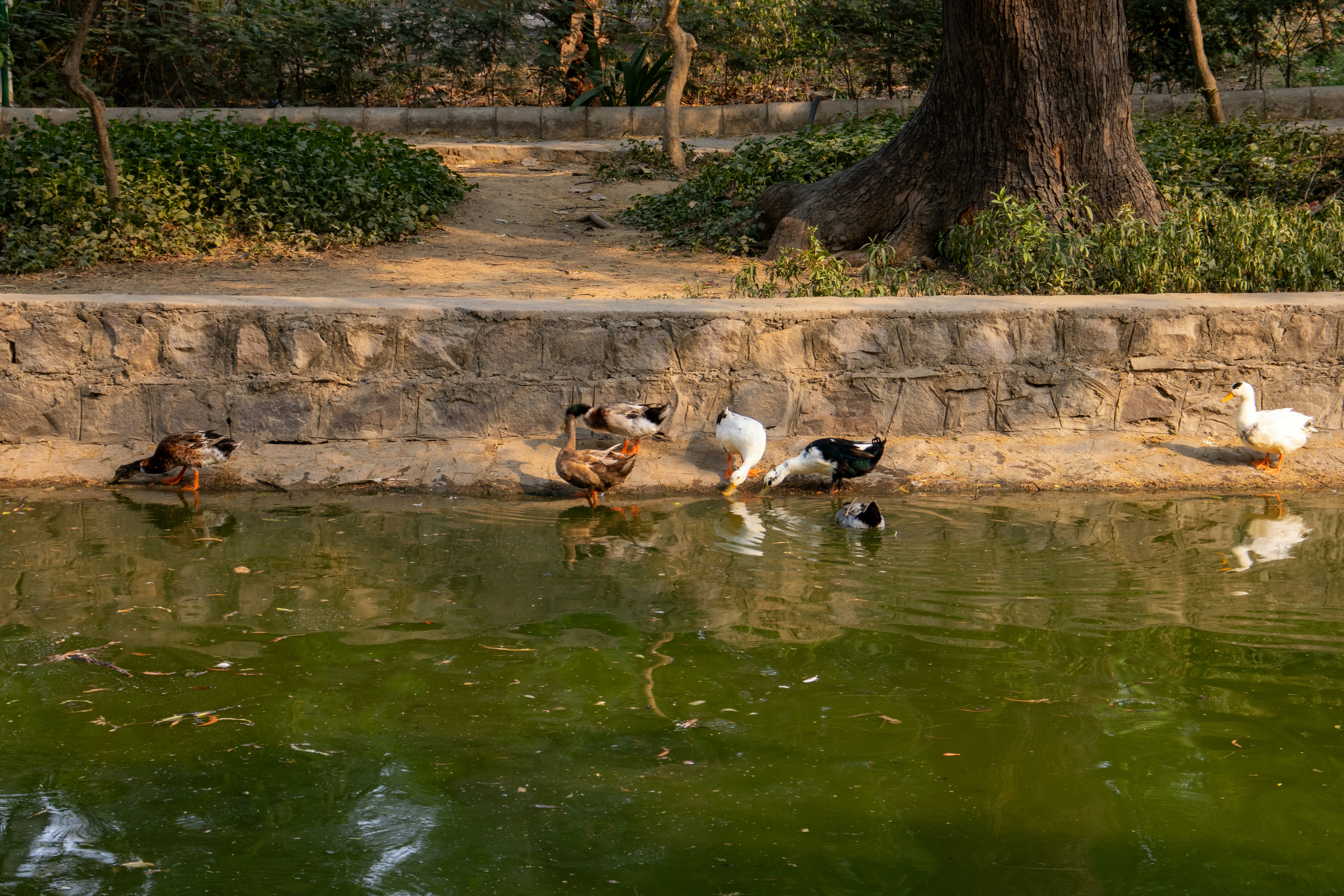 Photo by Akshat Jhingran with Canon EOS 200D Mark II