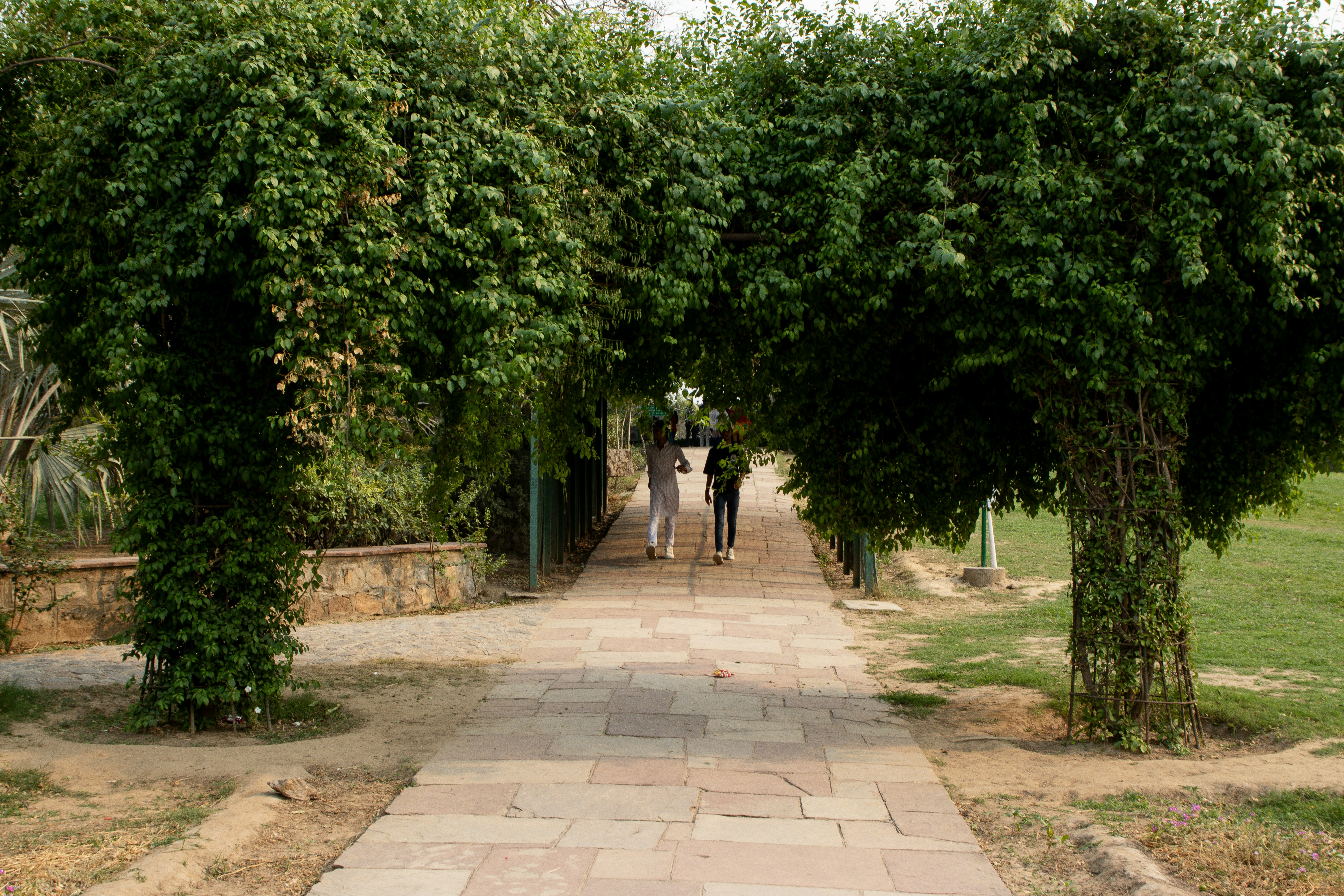 A couple of people that are walking down a path photo – Free Tree Image ...
