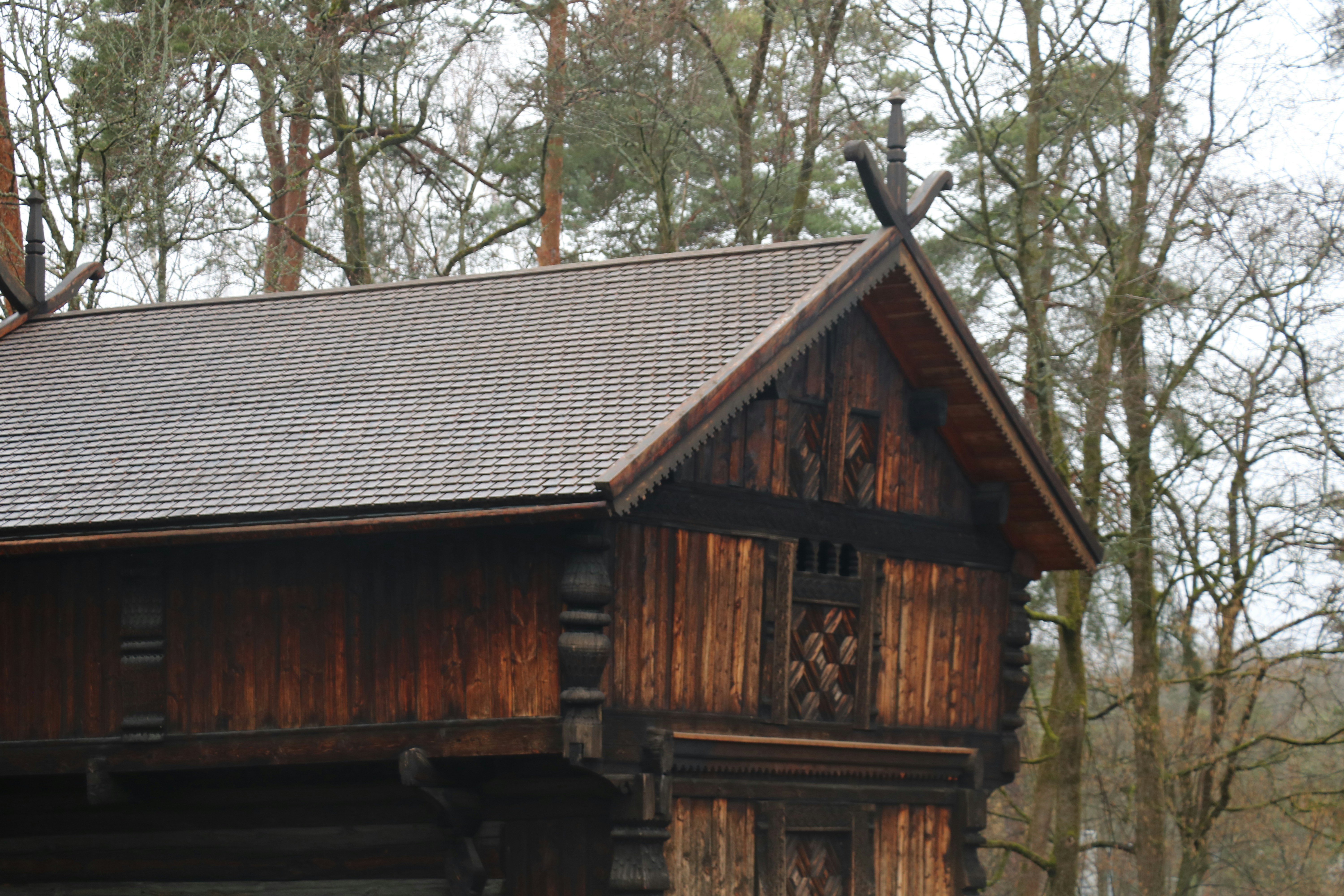 Carved Timber Lodge Framed by Bare Branches