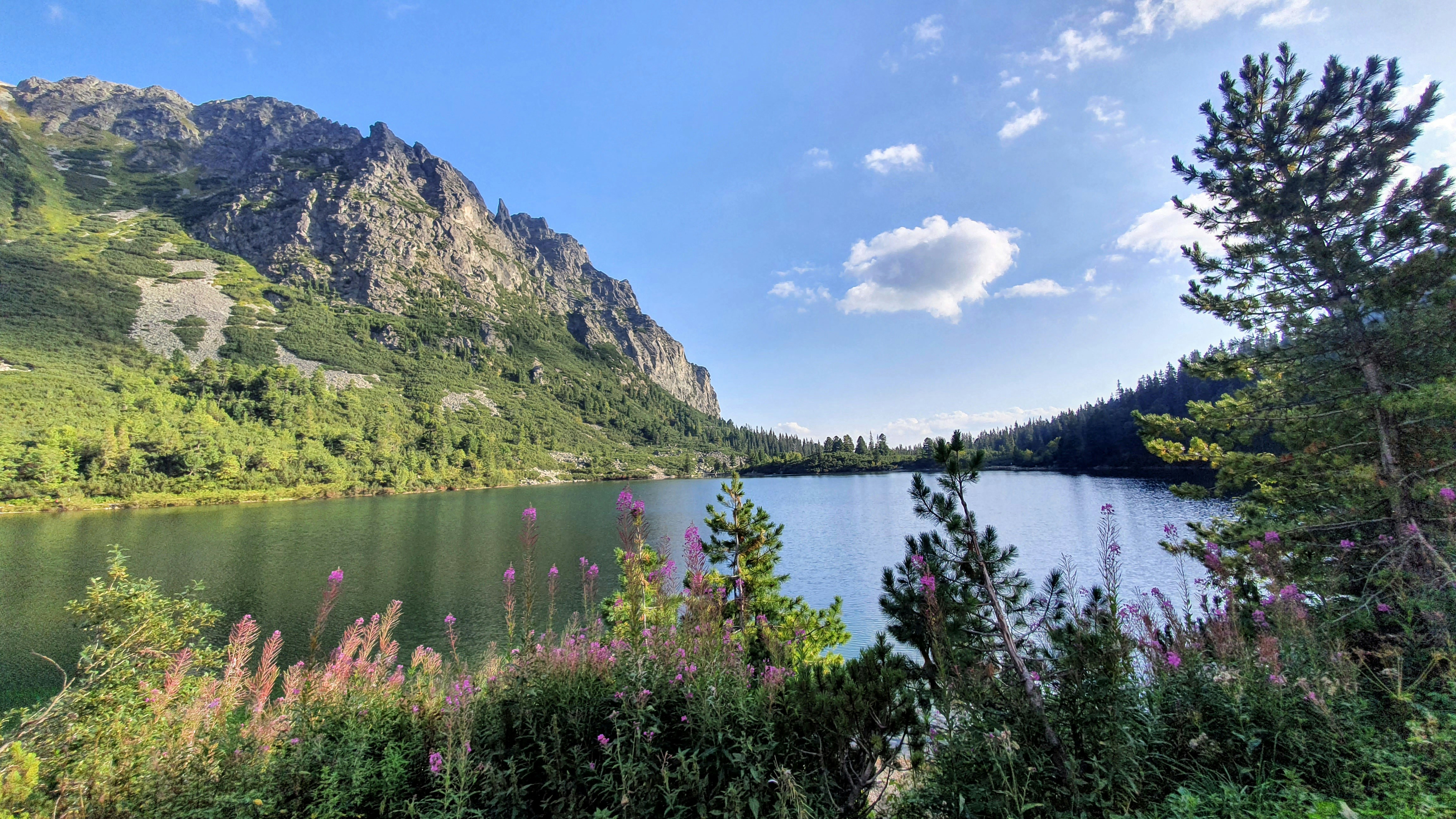 Wildflower-Framed Alpine Lake Beneath Rugged Peaks