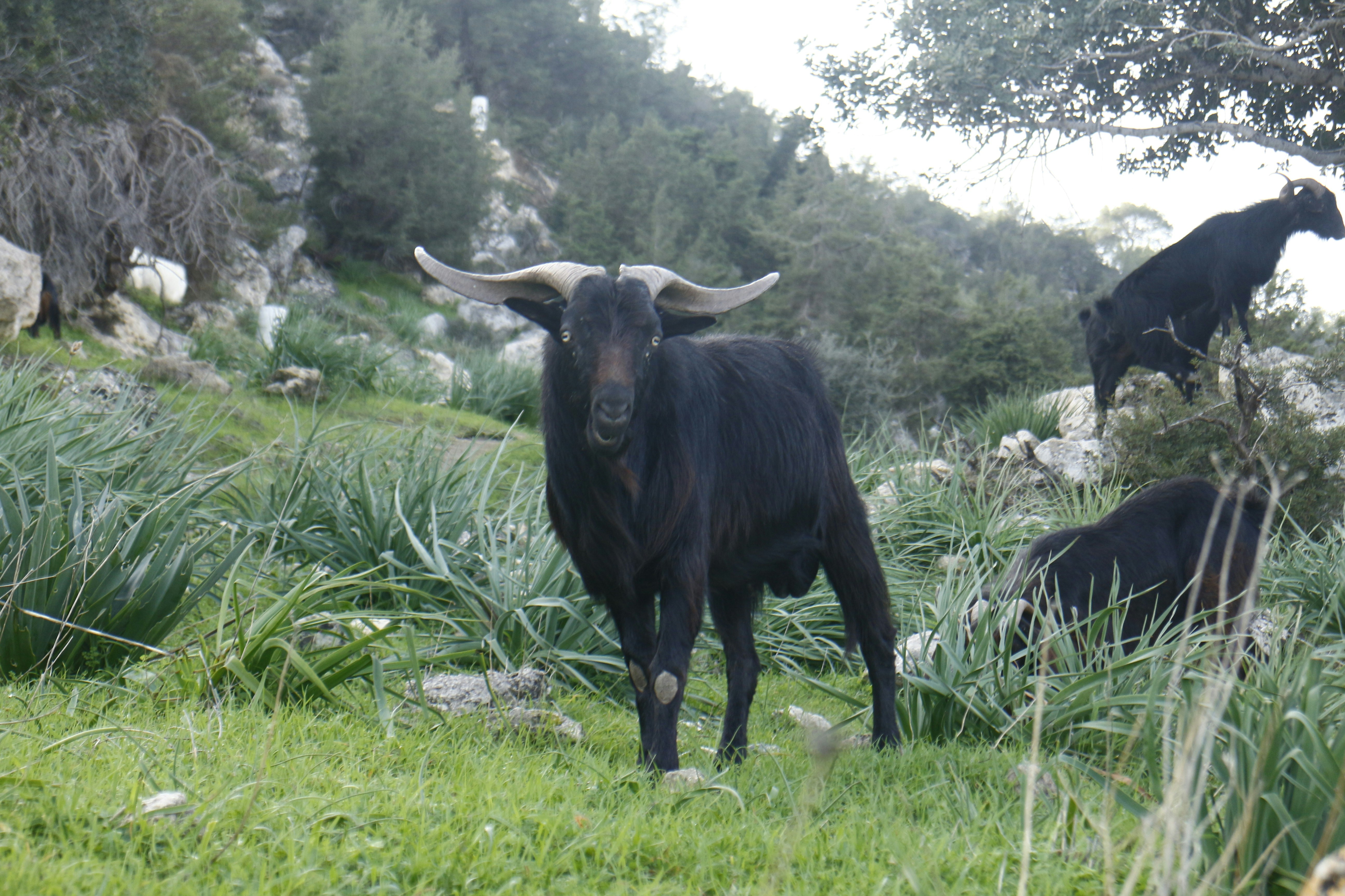 Photo by Ingrida Zamoiskaya with Canon EOS M