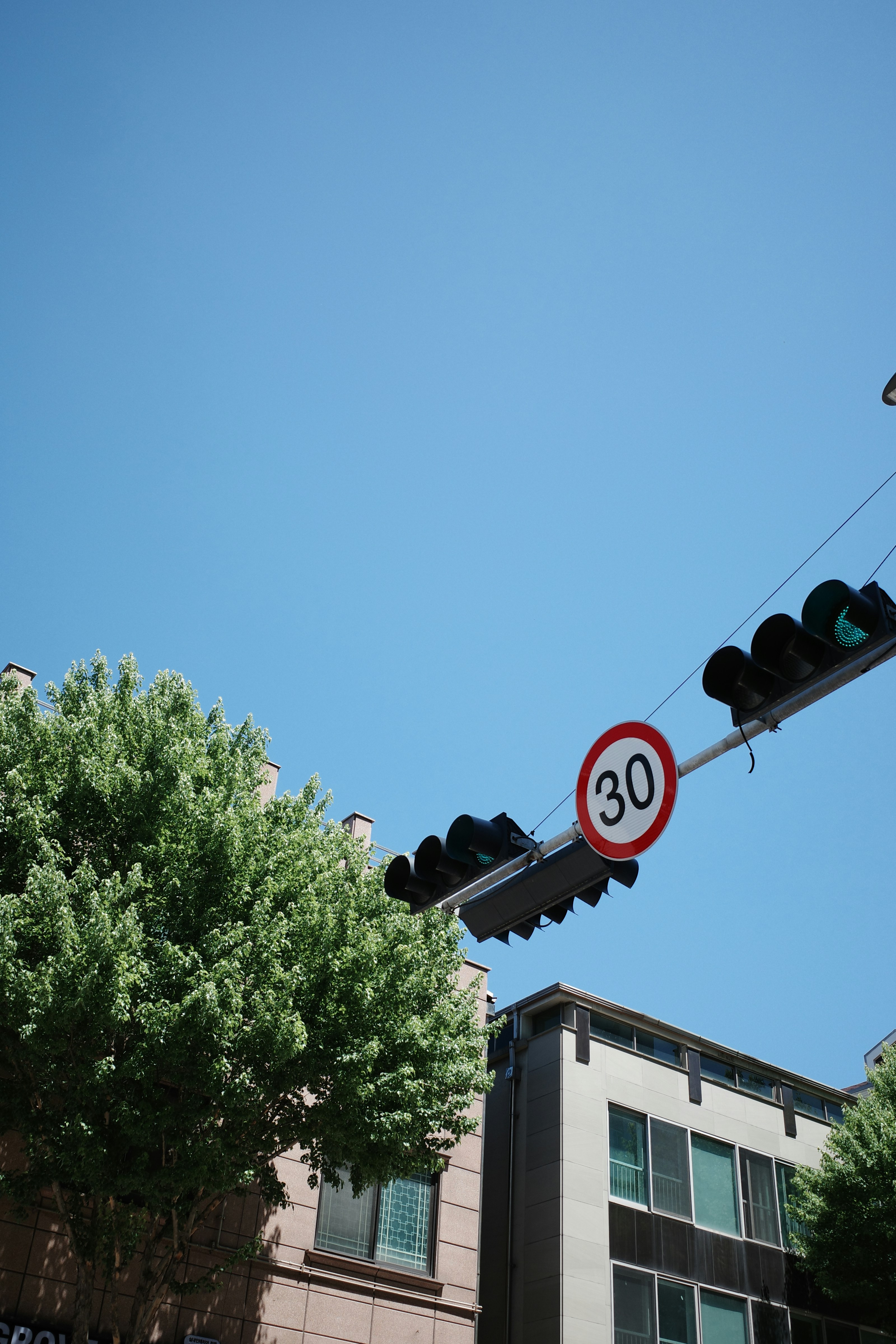 A traffic sign indicating a speed limit of 30 km/h is prominently displayed against a backdrop of lush green trees and a clear blue sky.