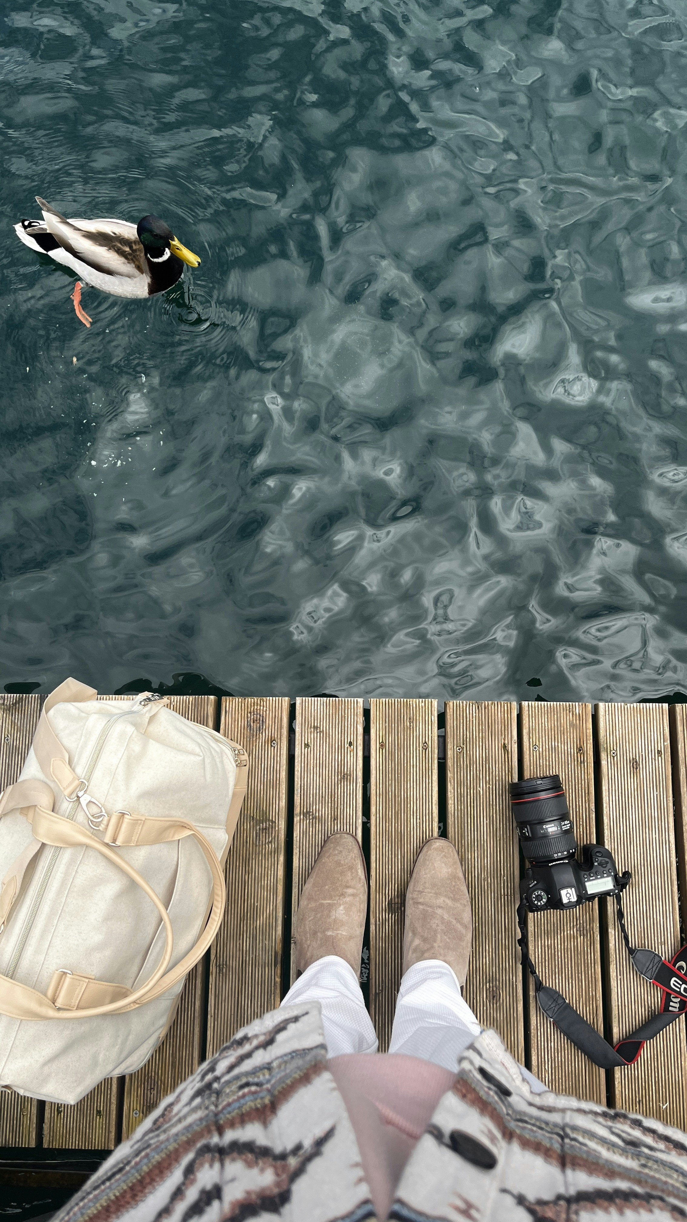 A person sitting on a dock next to a duck photo – Free Shot on iphone ...