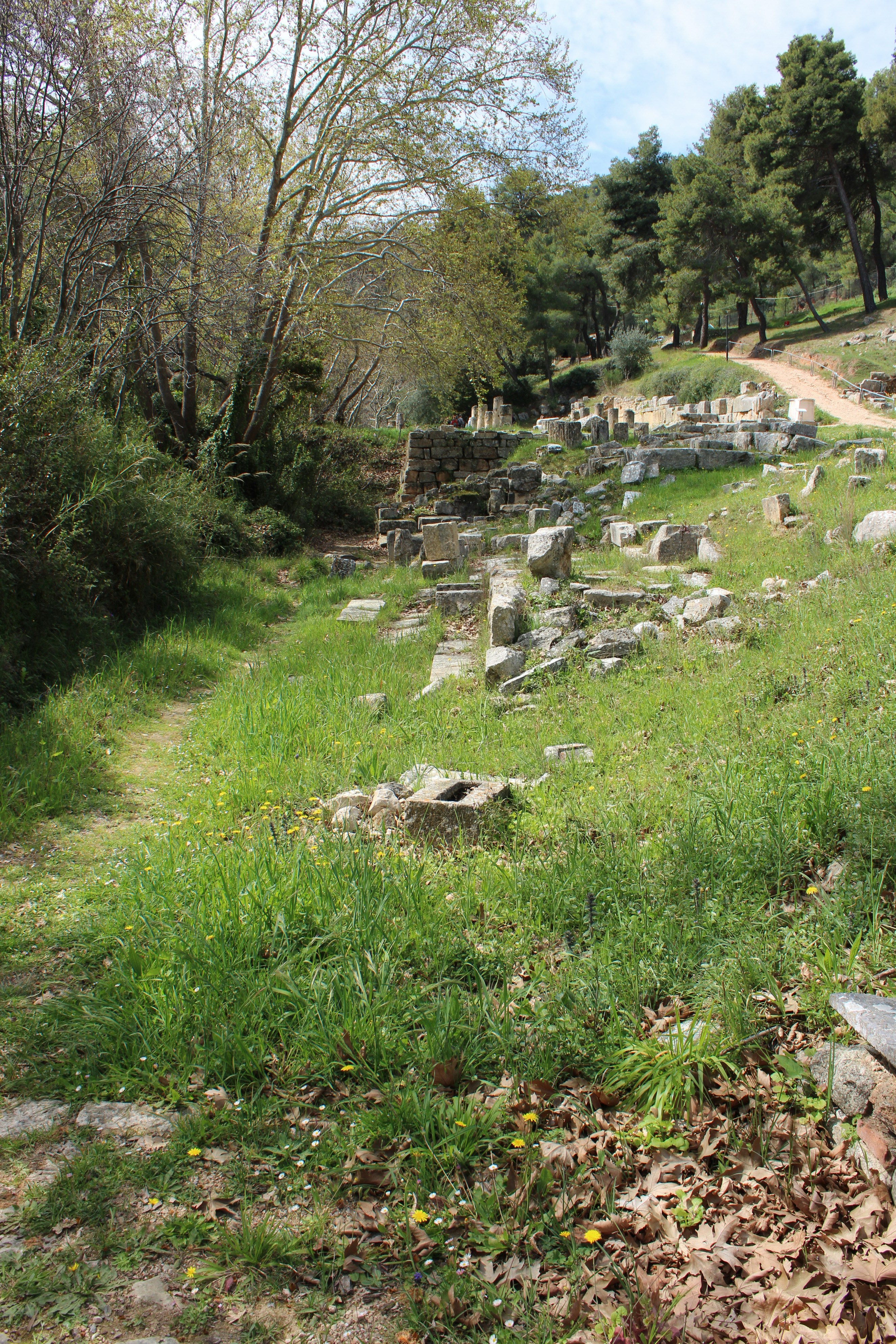 A stone path in the middle of a grassy area photo – Free Greece Image ...
