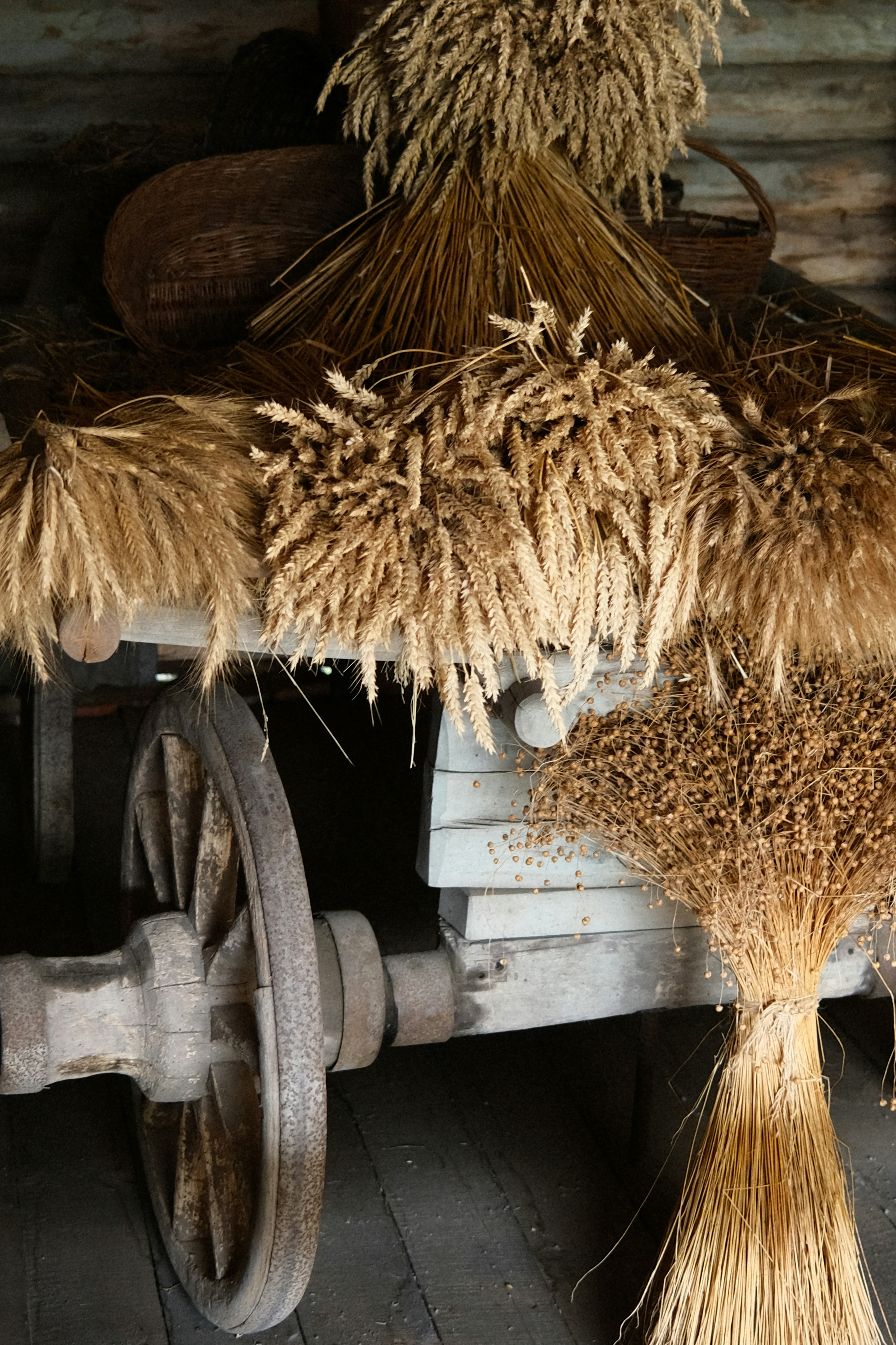 Harvest Echoes: Bundles of Grain Resting by a Thresher