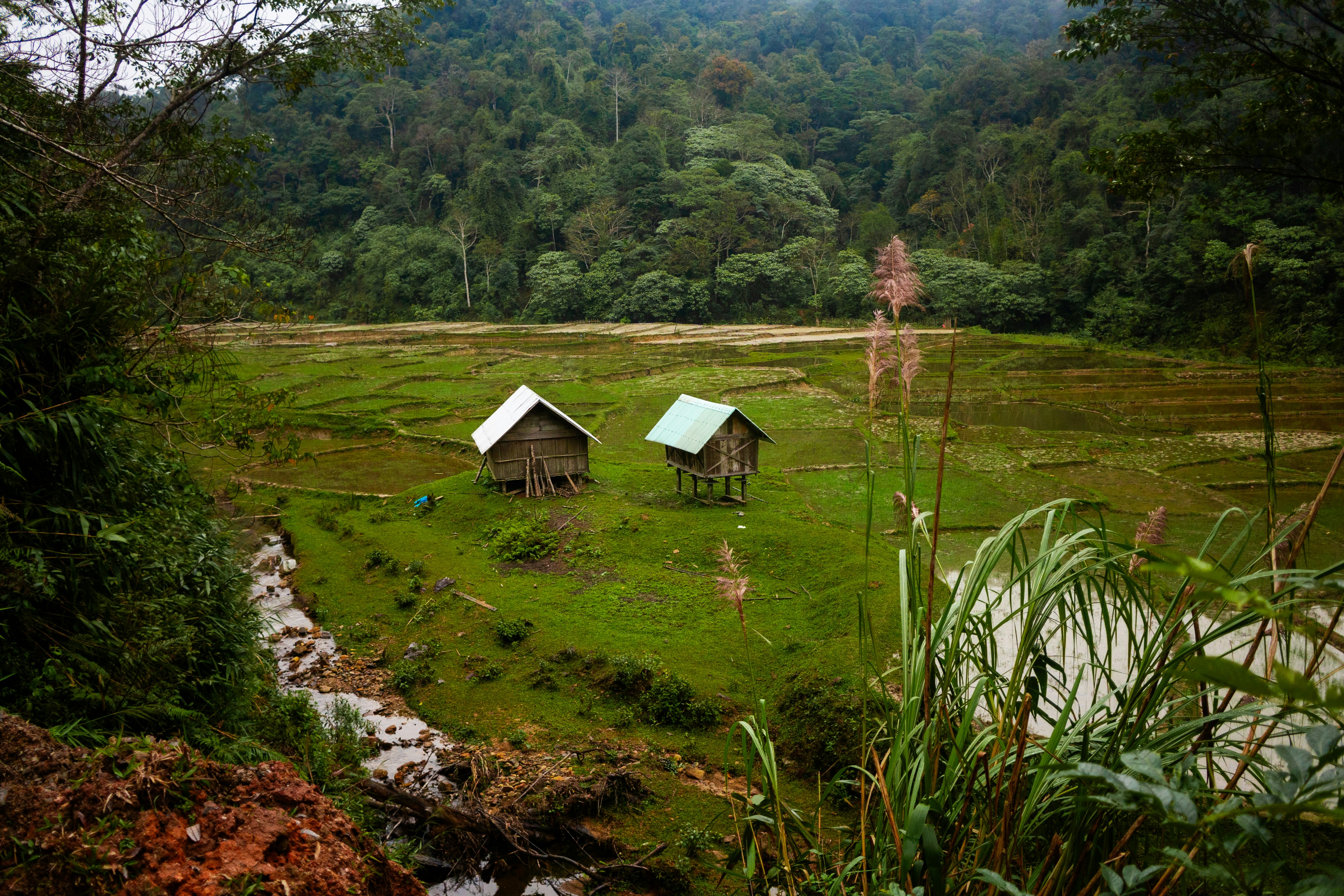 A couple of huts sitting on top of a lush green field photo – Free ...