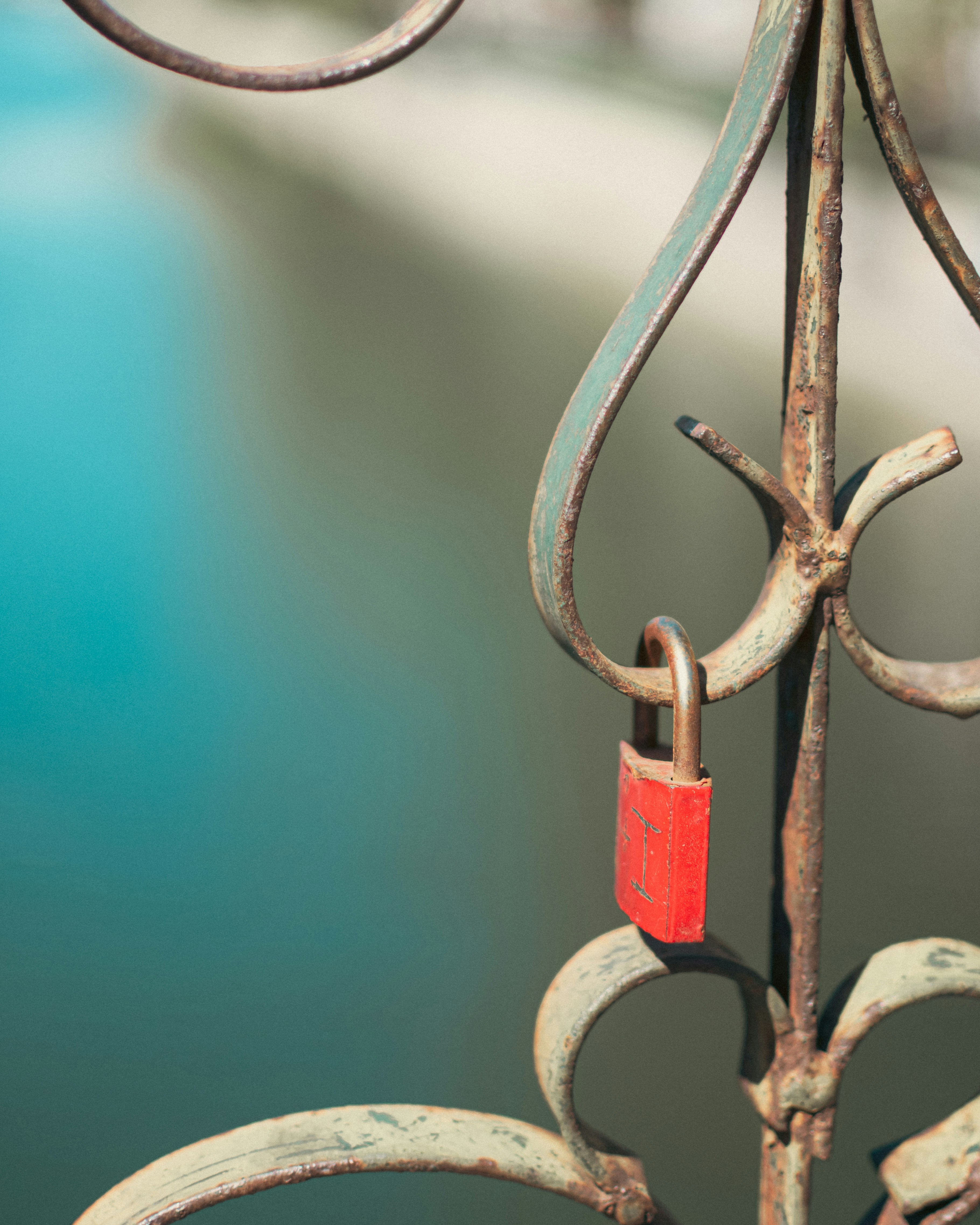 Crimson Lock on a Rusted Gate: A Quiet Waterfront Moment