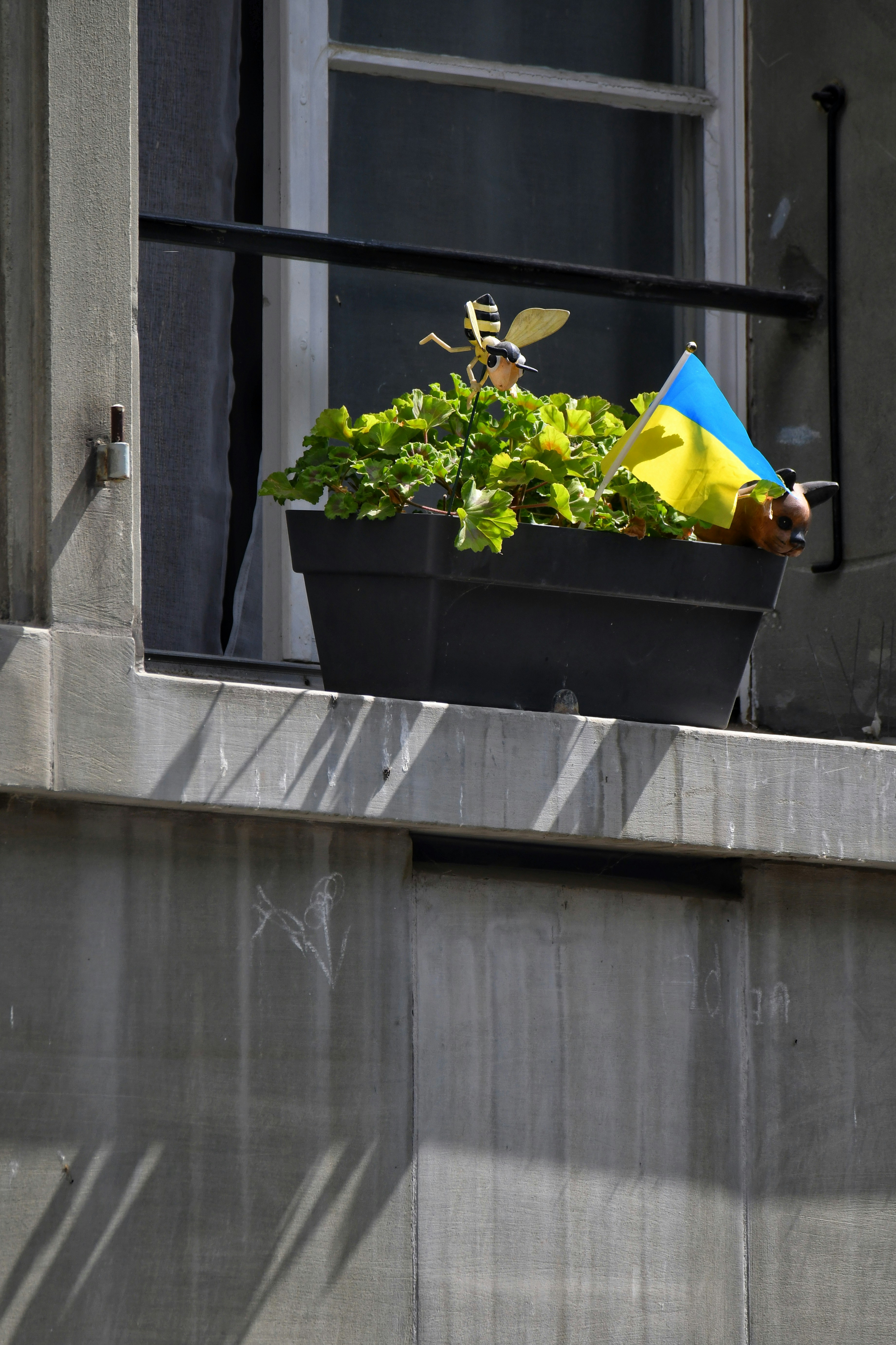 Flag on the Ledge: Ukrainian Flag in a City Window Box