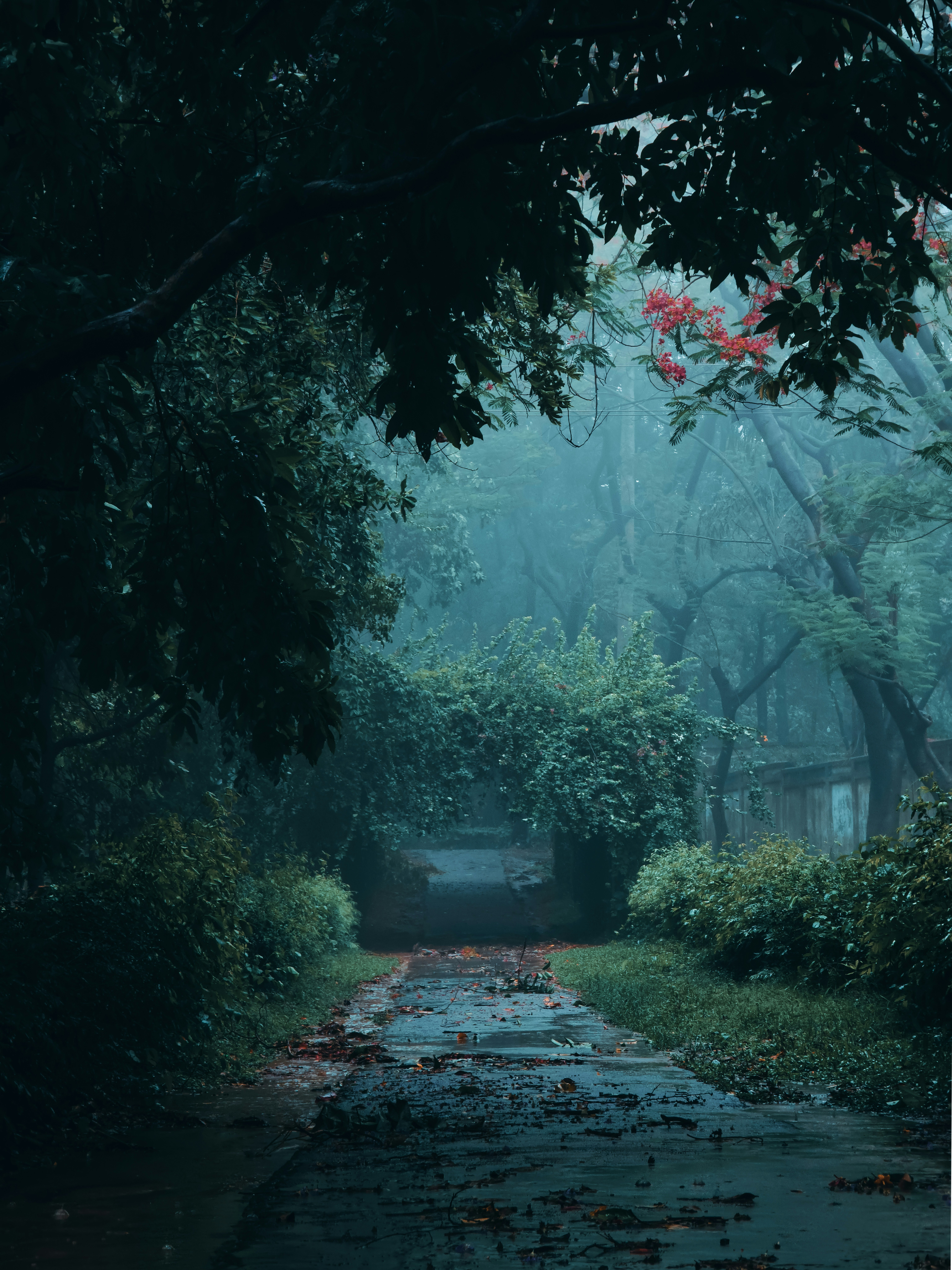 1000+ Beautiful Weather Pictures | Download Free Images on Unsplash