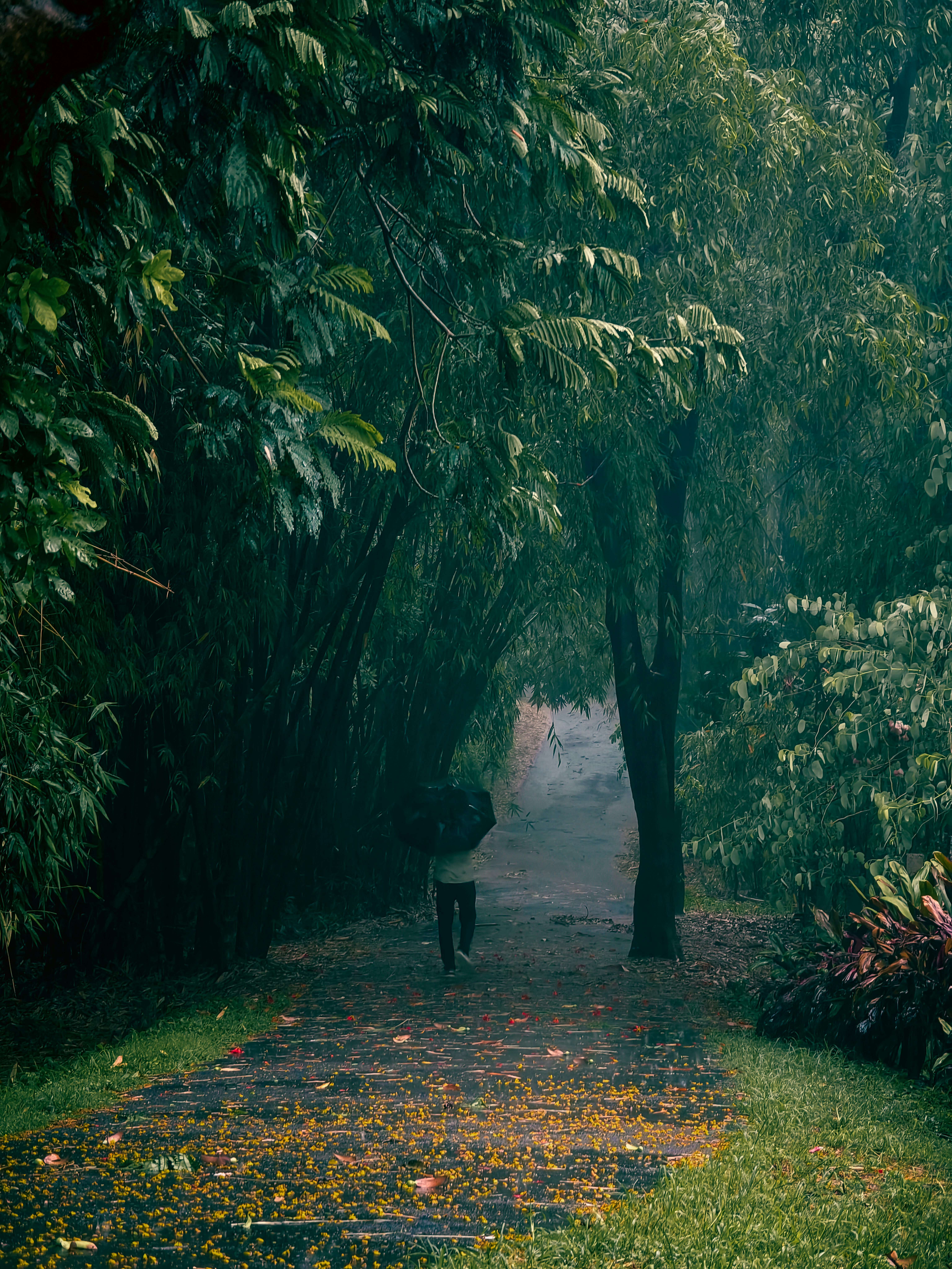 1000+ Beautiful Weather Pictures | Download Free Images on Unsplash