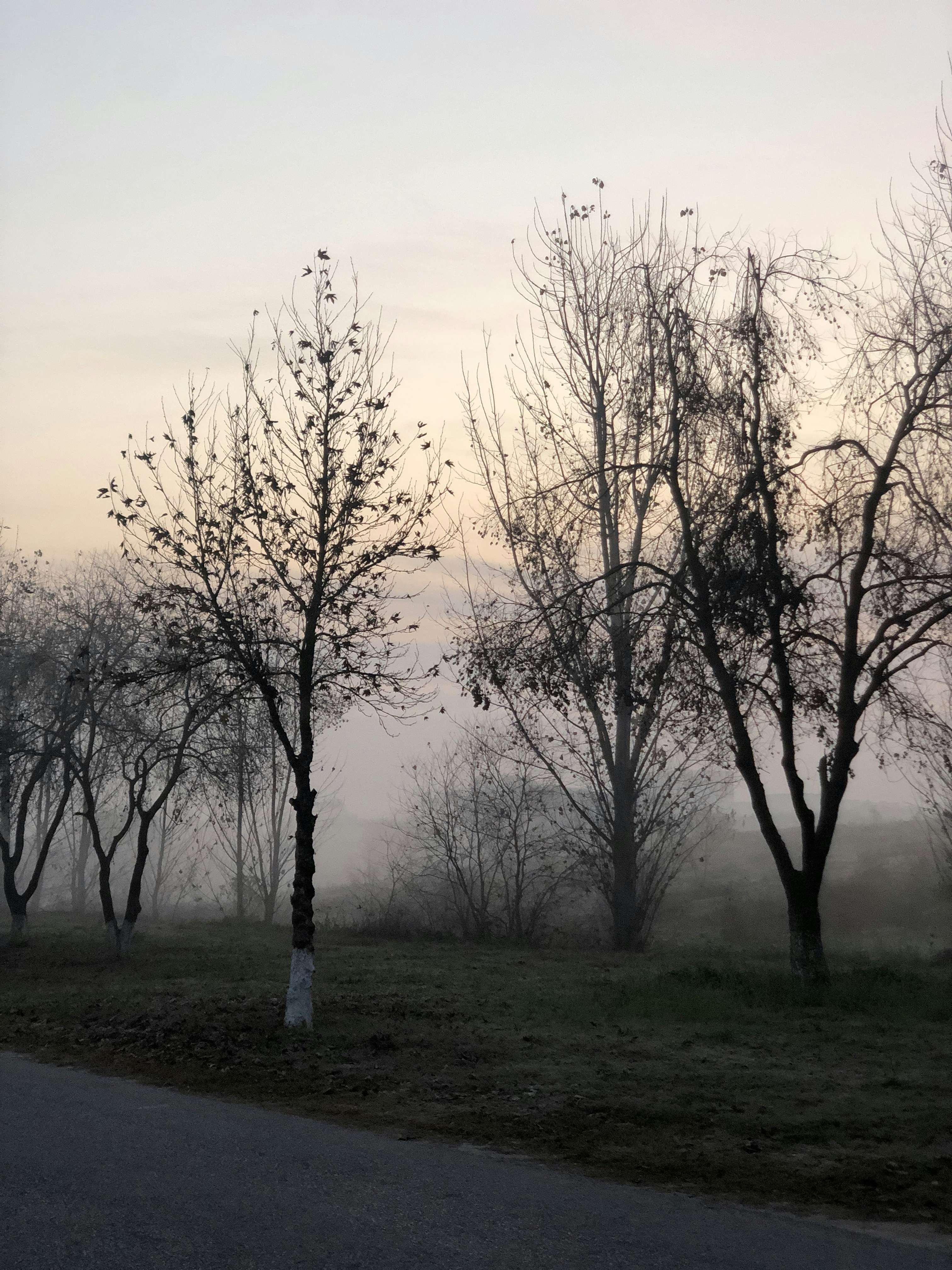 Photo by hasham shabbir with Apple iPhone X