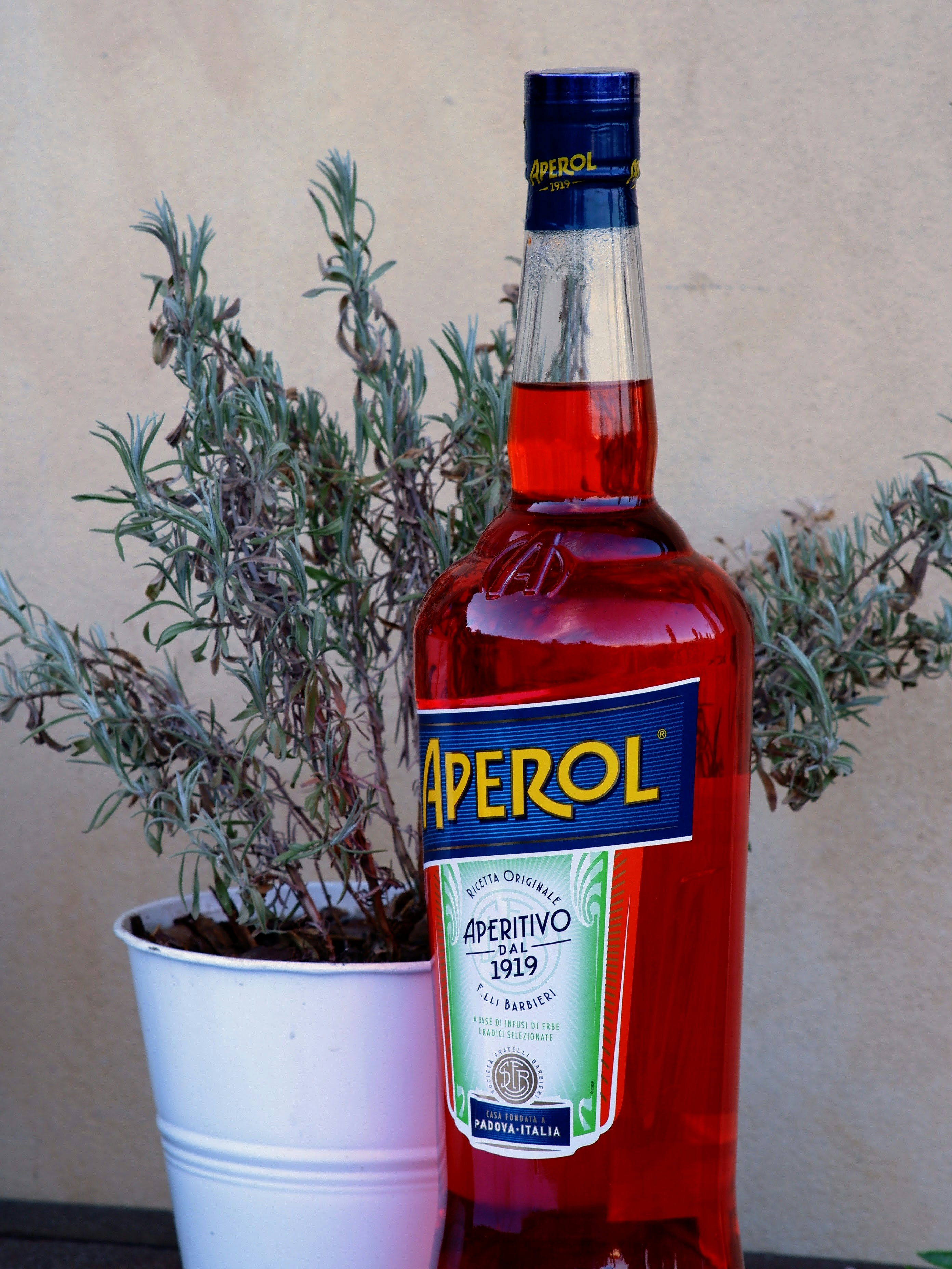 Aperol in Focus: Crimson Bottle Anchors a Sage-Leaf Still-Life