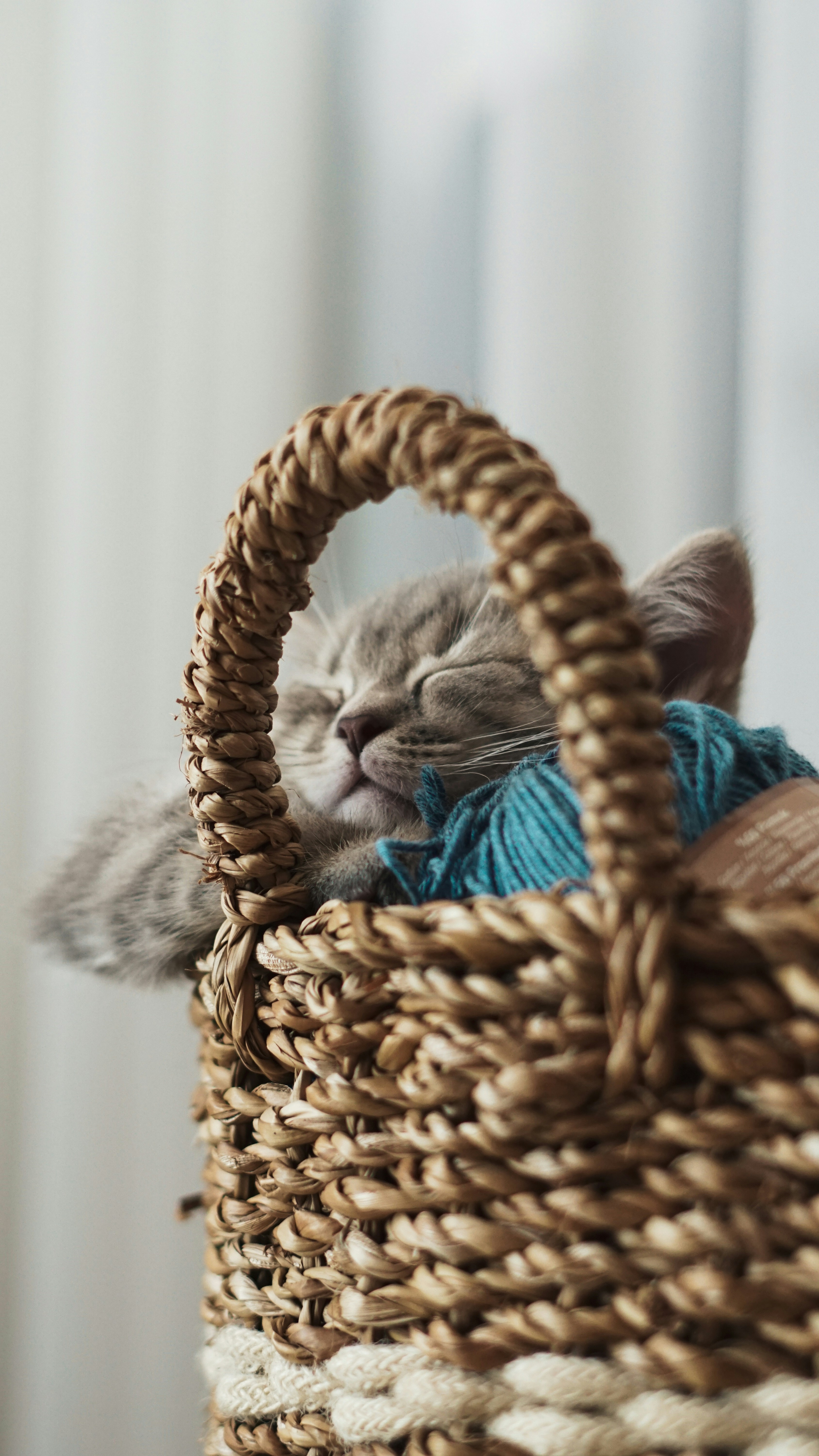 Photo by Duygu Güngör with Sony Alpha 6000