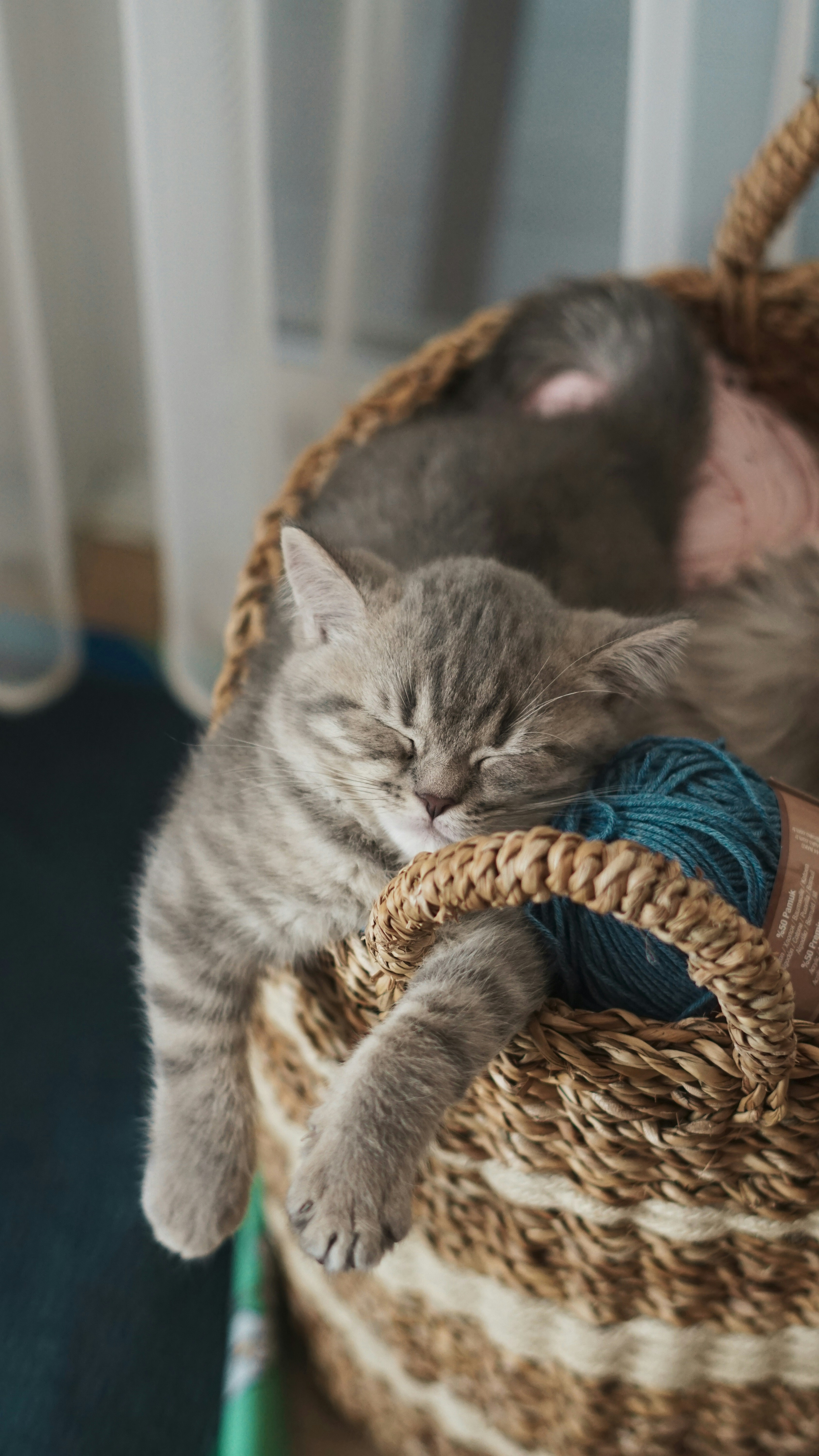 Cozy Slumber in a Woven Basket: Gray Kitten Amid Yarn