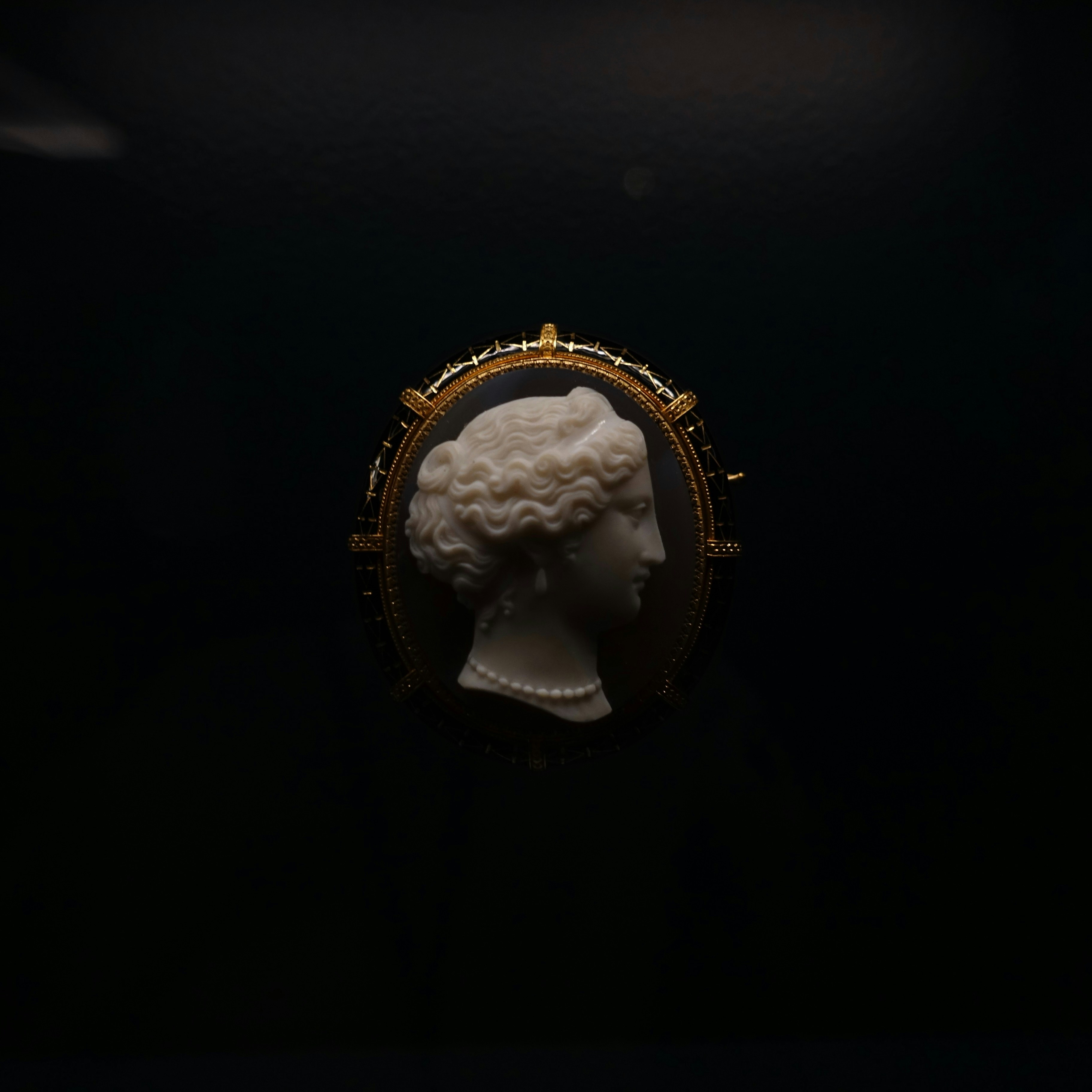 The Cameo in the Dark: A White Portrait Nestled in a Gold Halo