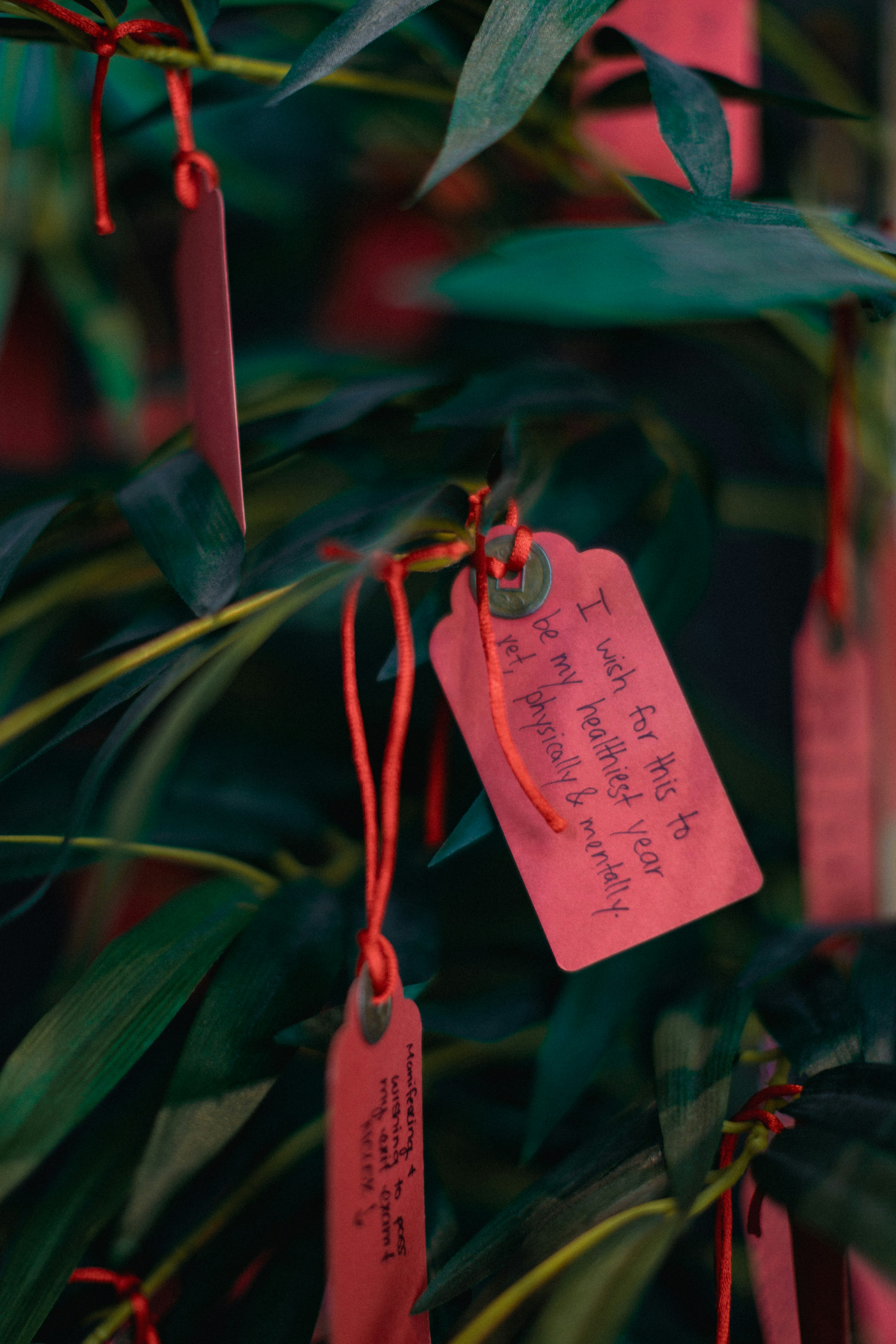 Red Tags of Quiet Wishes Drifting Among Leaves