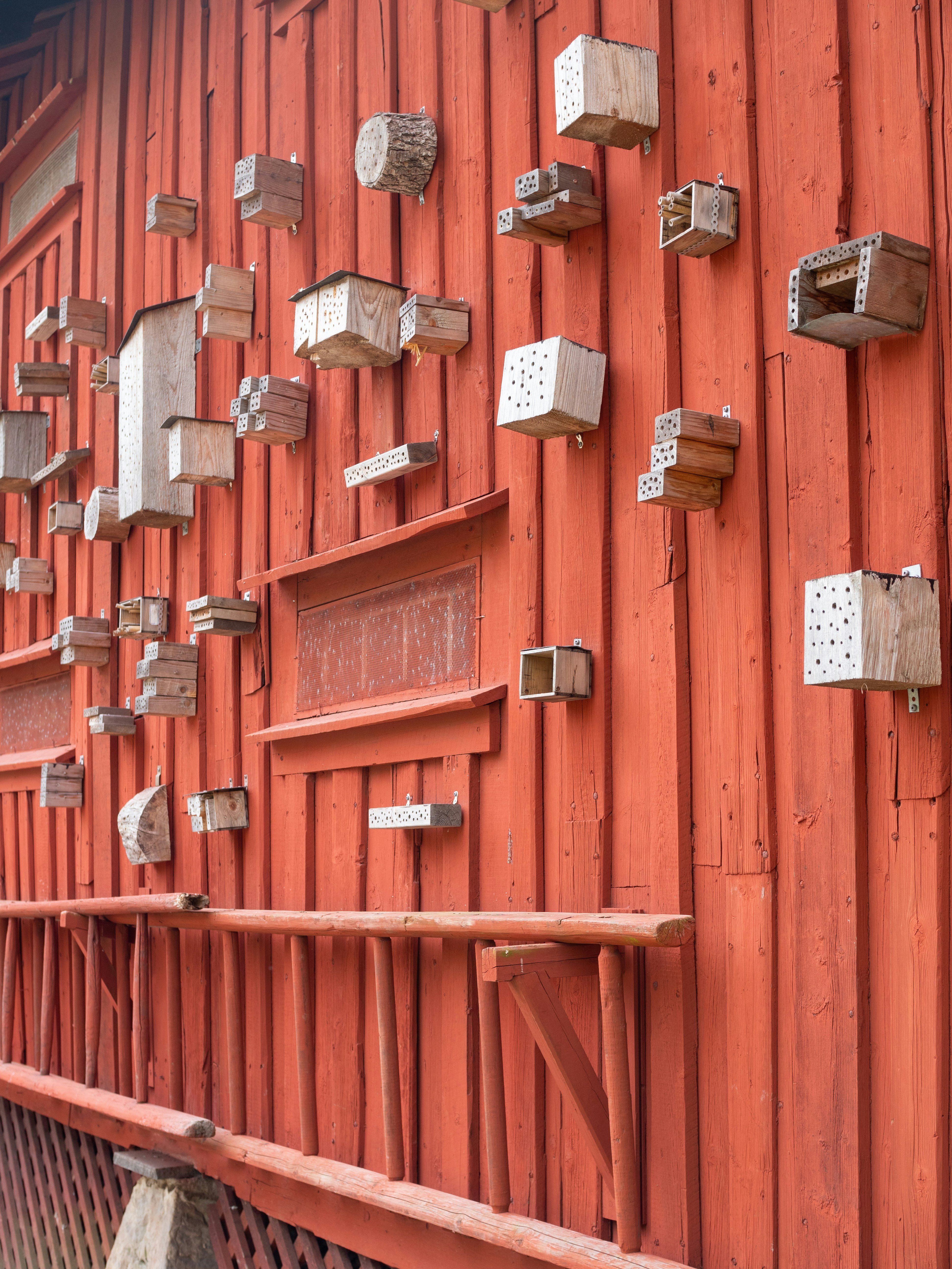 Patchwork Nest Gallery: Bee Boxes on a Weathered Red Wall