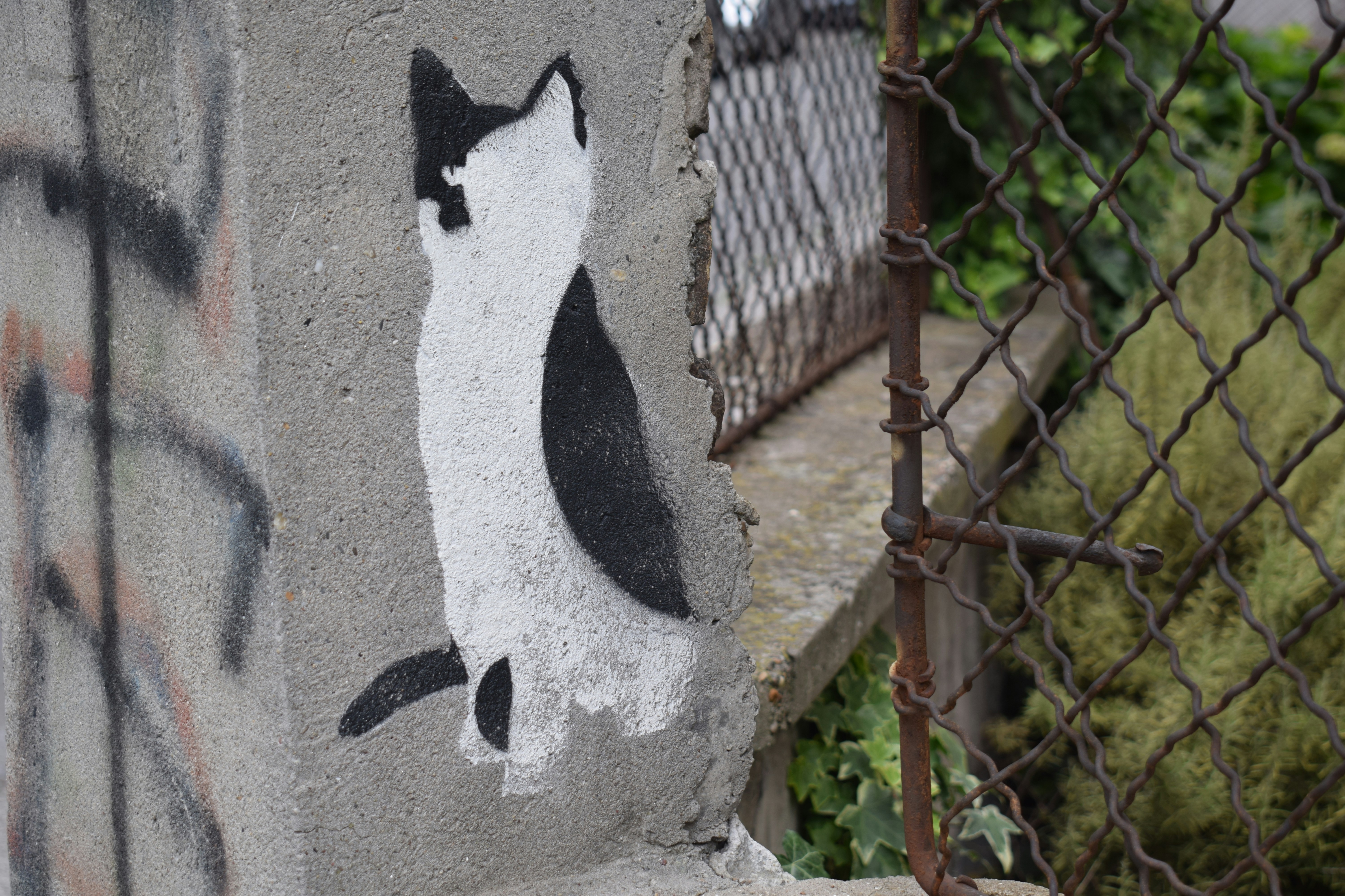 Stencil Cat at a Weathered Wall Beside a Rusted Chain-Link Fence