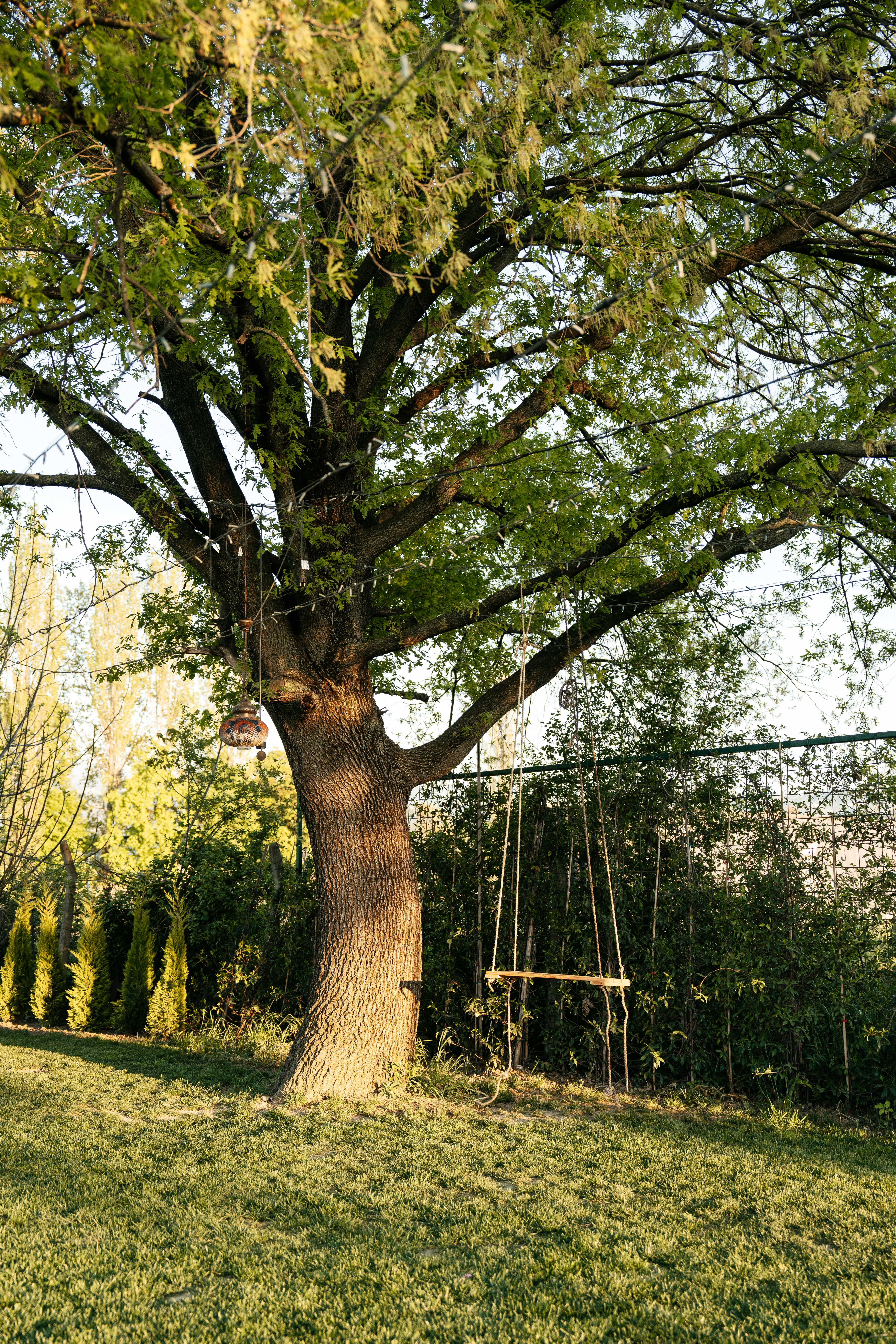 Photo by Ahmed with Sony Alpha 7 IV