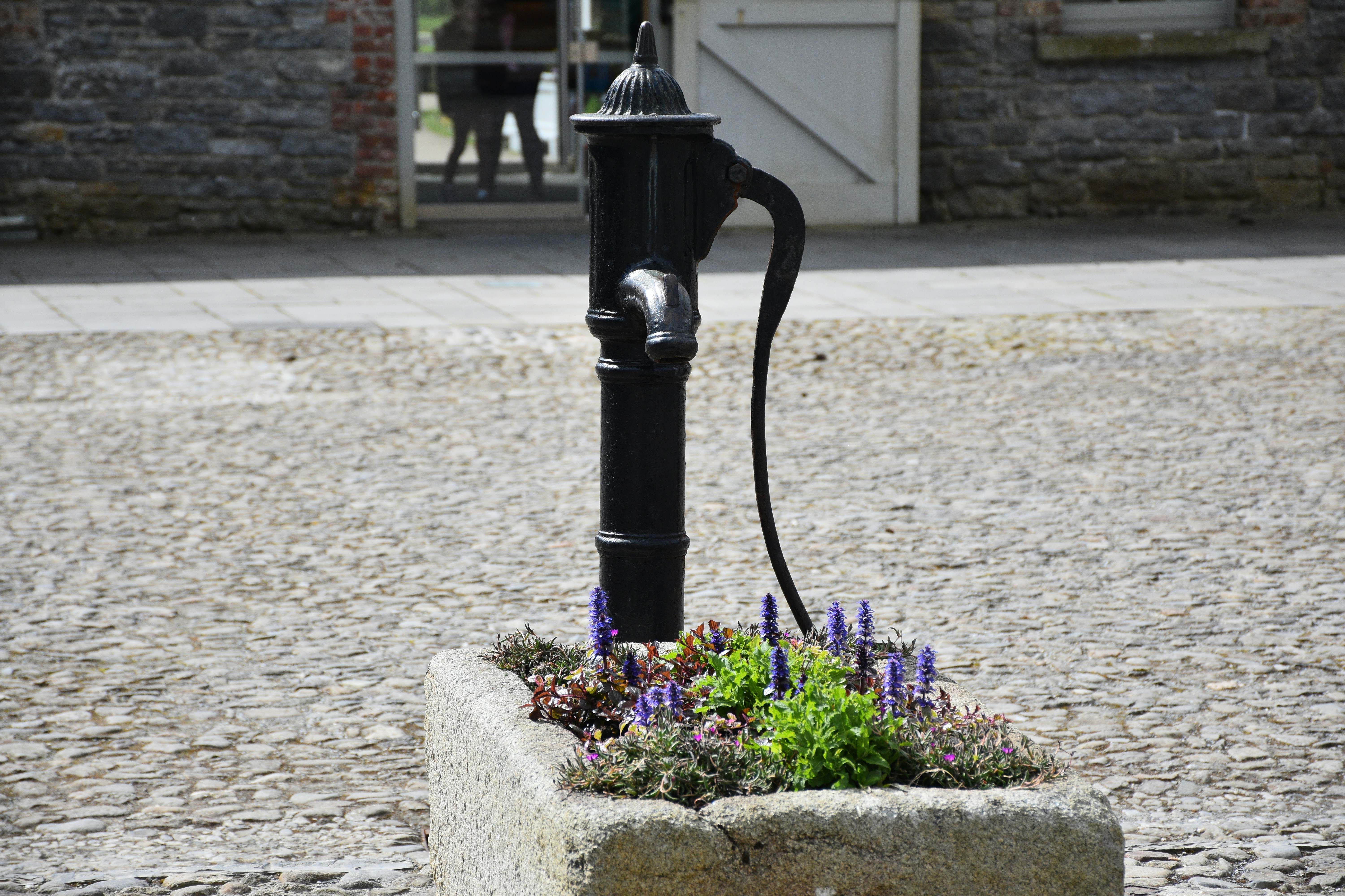 Anchor of a Cobblestone Courtyard: Black Cast-Iron Water Pump Surrounded by Blooms
