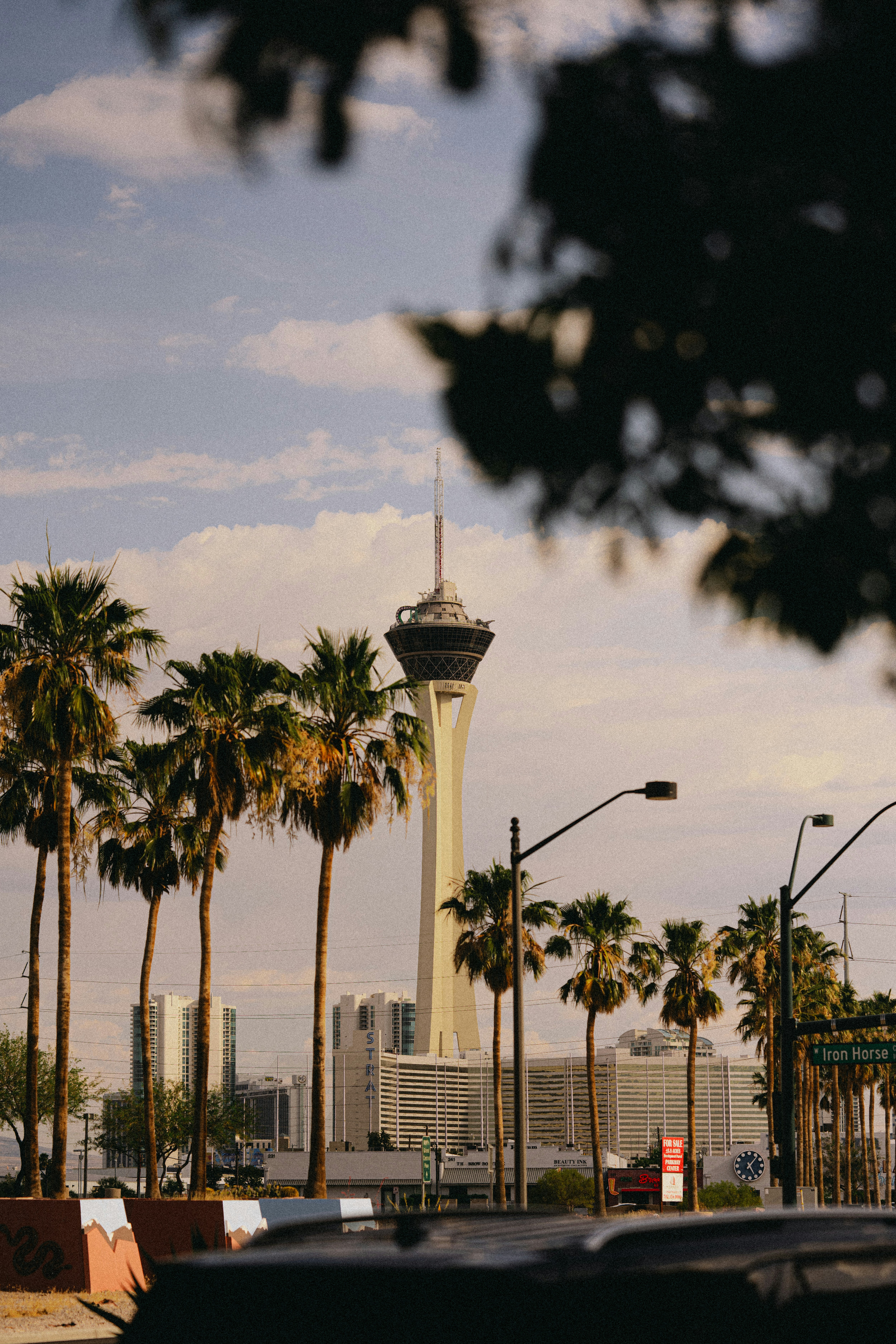 Palm-Lined Skyline and a Towering Spire at Golden Hour