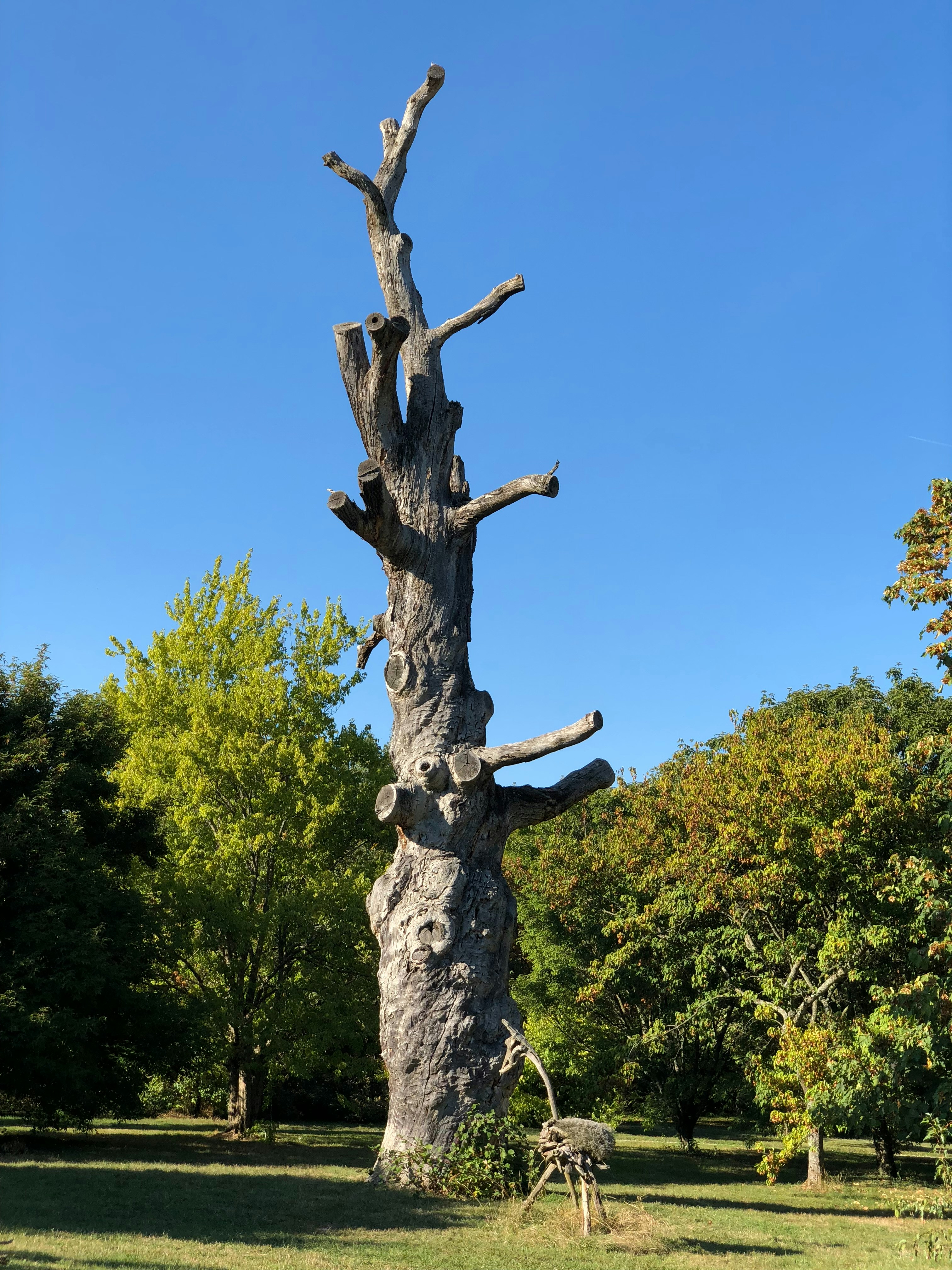 Photo by Wald Creations with Apple iPhone X