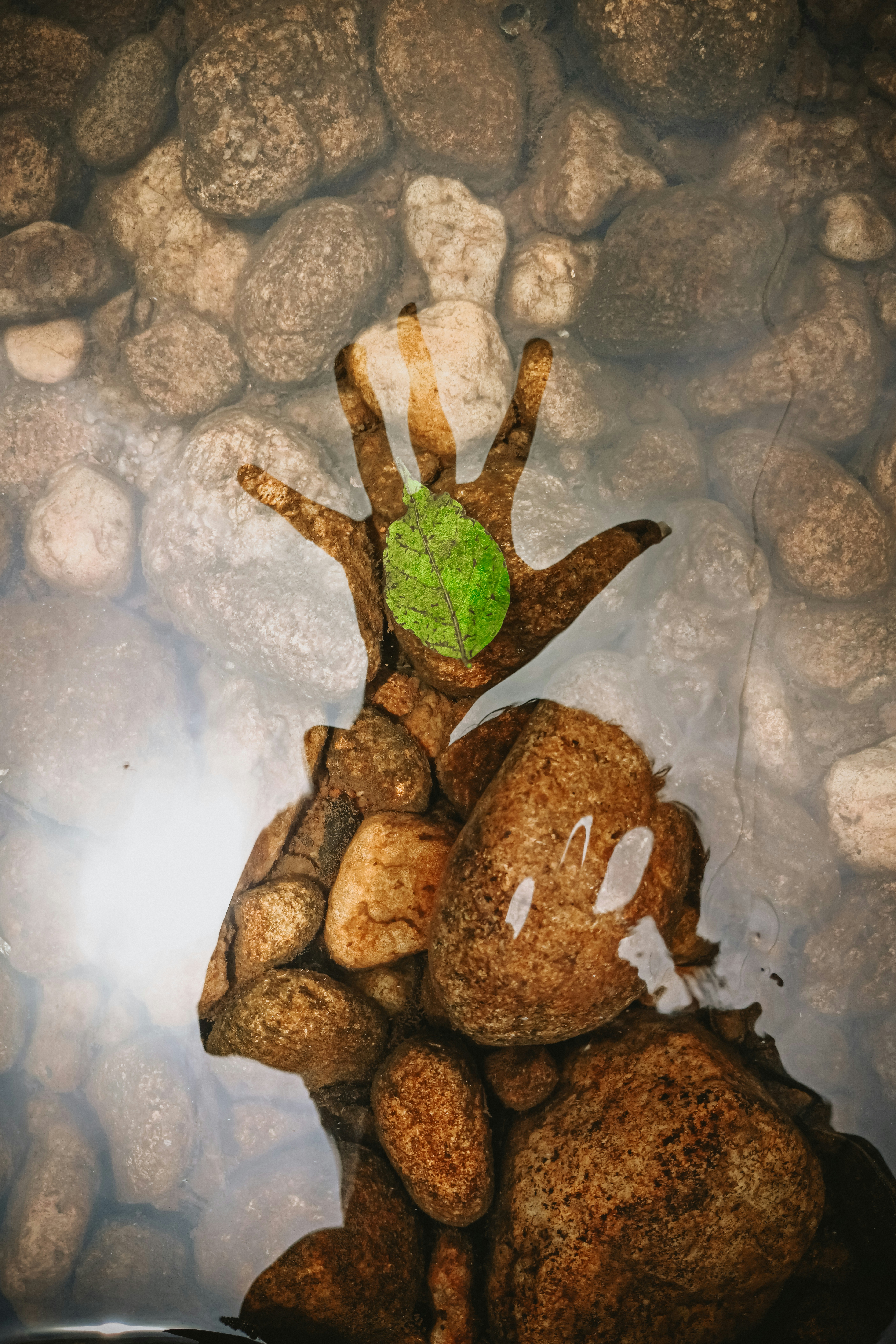 Rocky hand formed from pebbles cradles a vivid green leaf beneath a shallow, glassy layer of water. The scene emphasizes texture and the contrast between mineral tones and organic color.