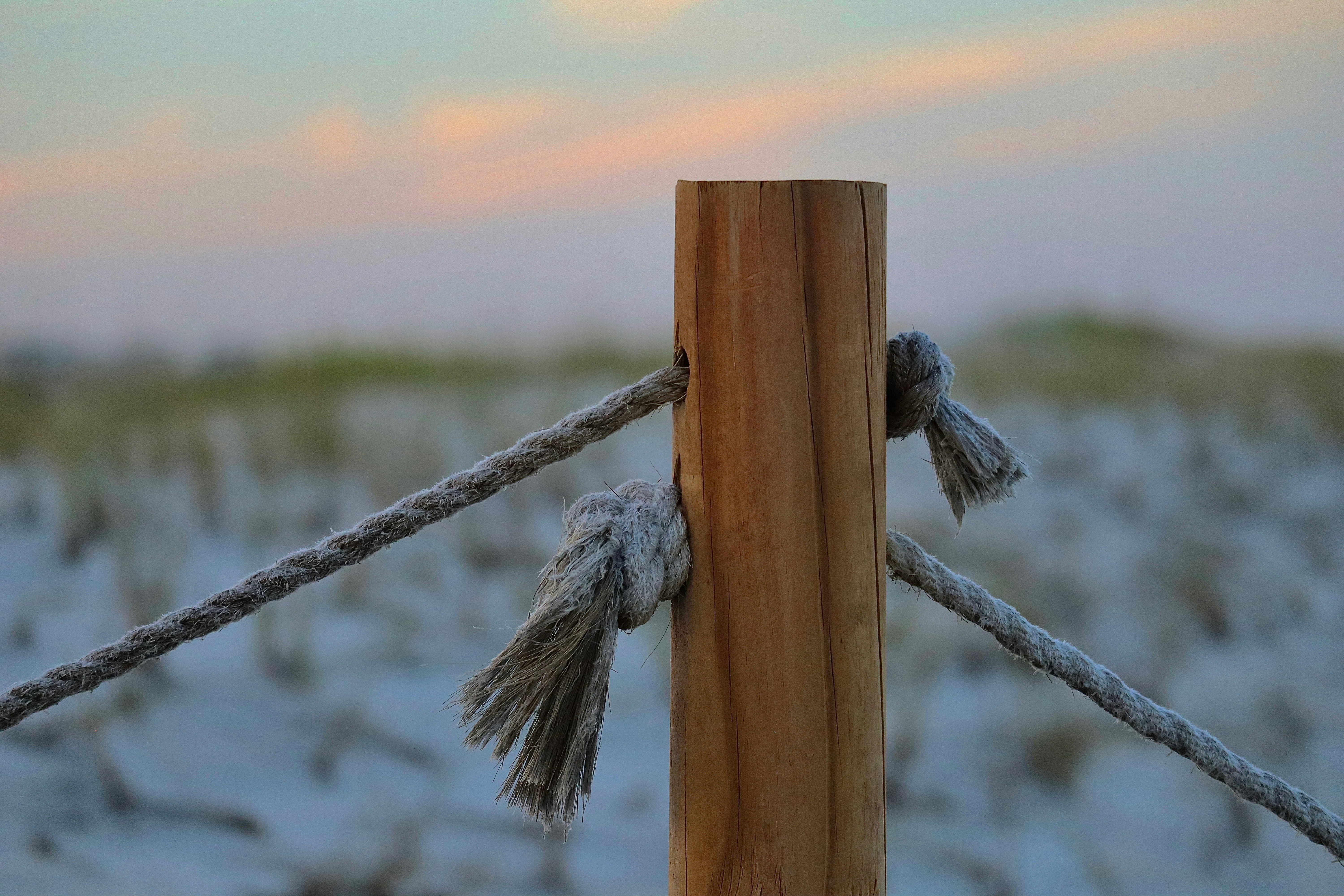 Anchored by a Weathered Post: Rope Ties and Distant Sand