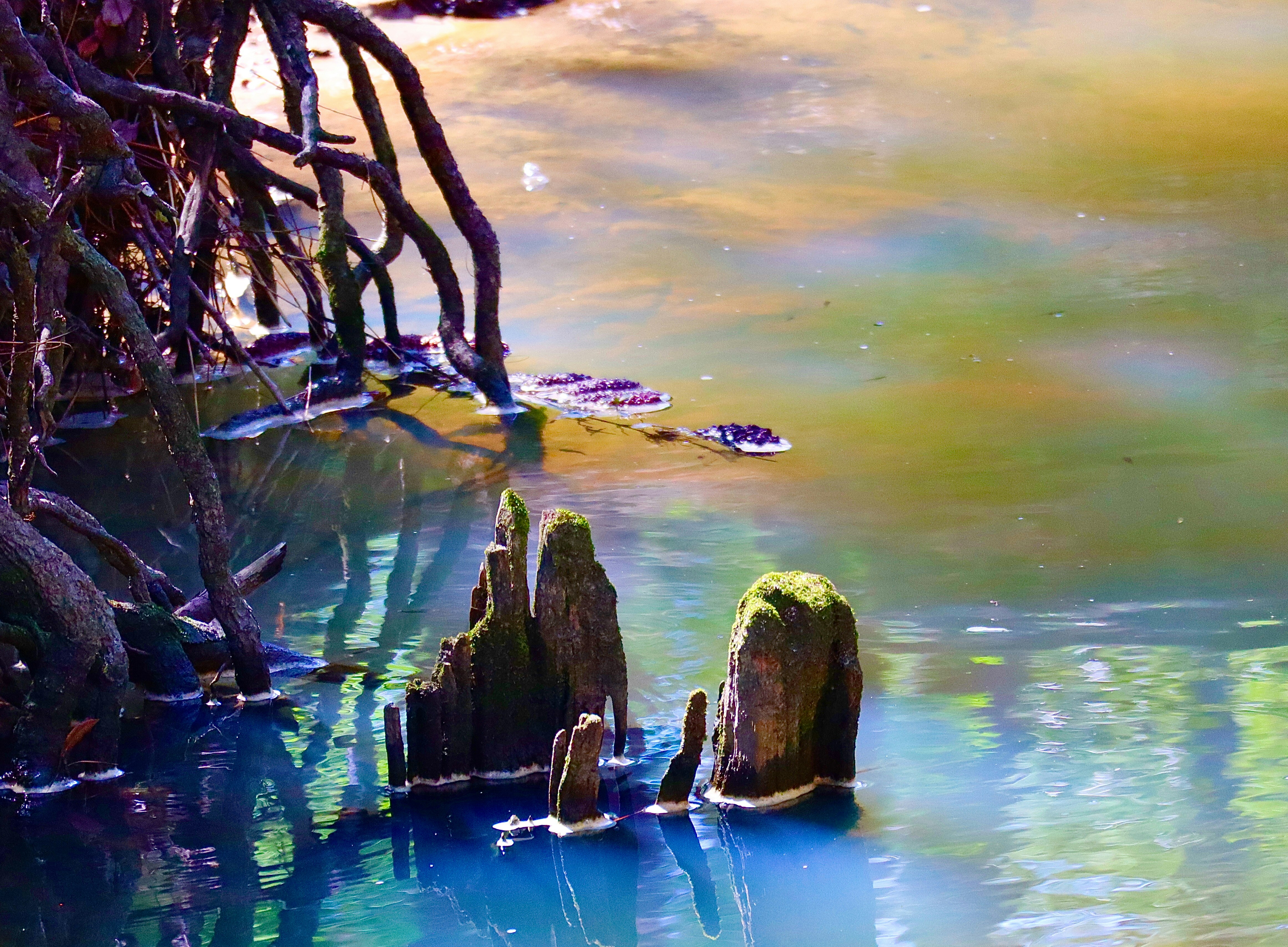 Moss-Covered Pillars Rise in a Turquoise Pool